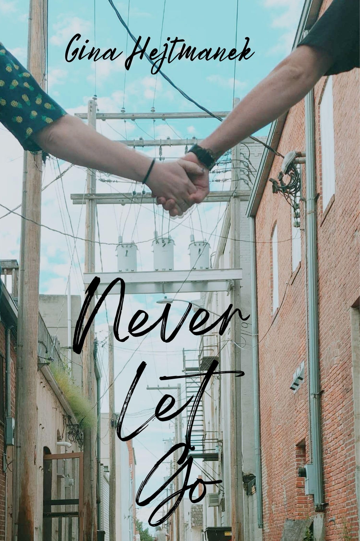 Never Let Go by Gina Hejtmanek | Goodreads
