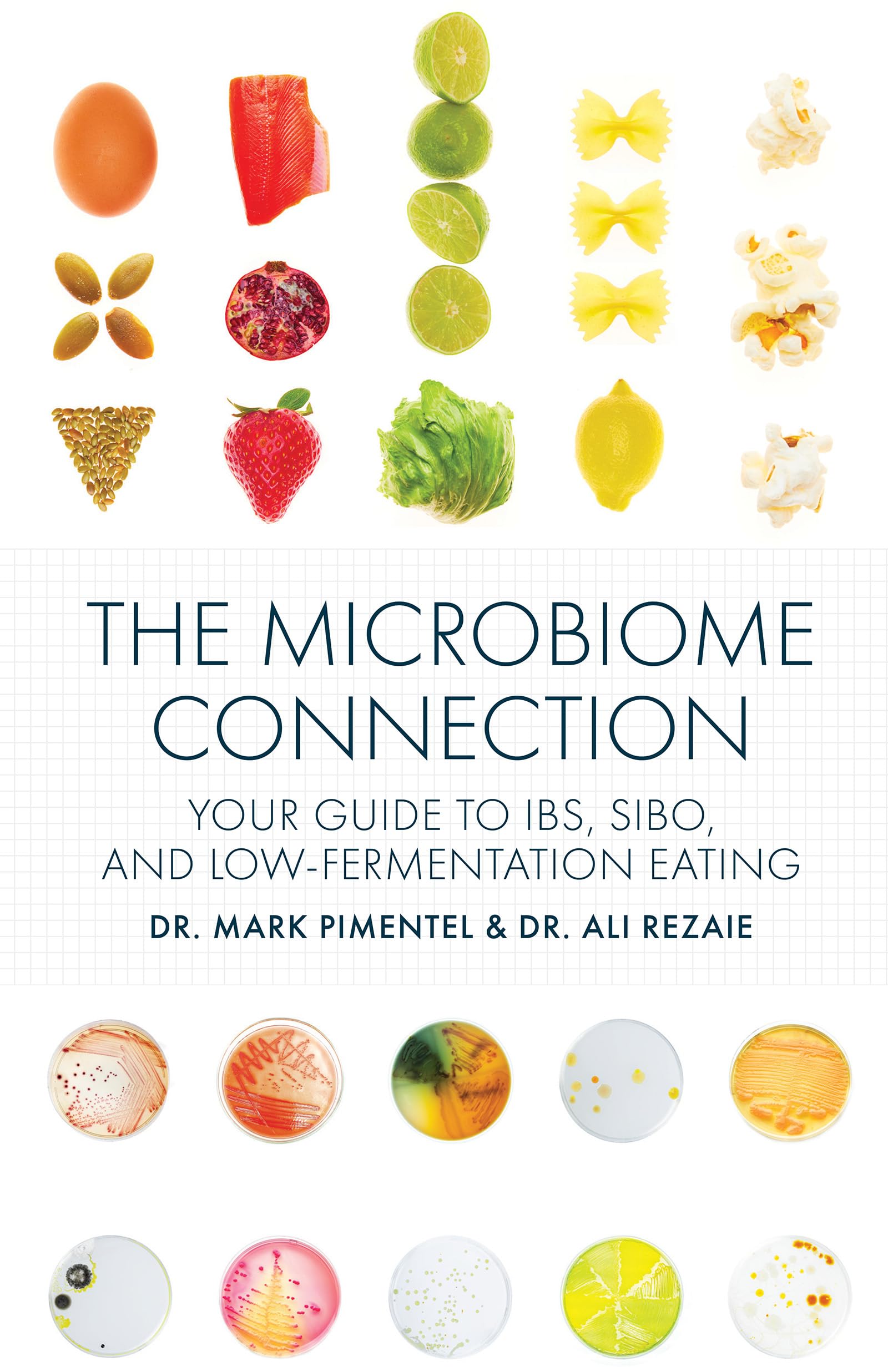 The Microbiome Connection: Your Guide to IBS, SIBO, and Low ...