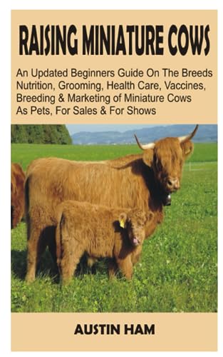 RAISING MINIATURE COWS: An Updated Beginners’ Guide on The Breeds ...