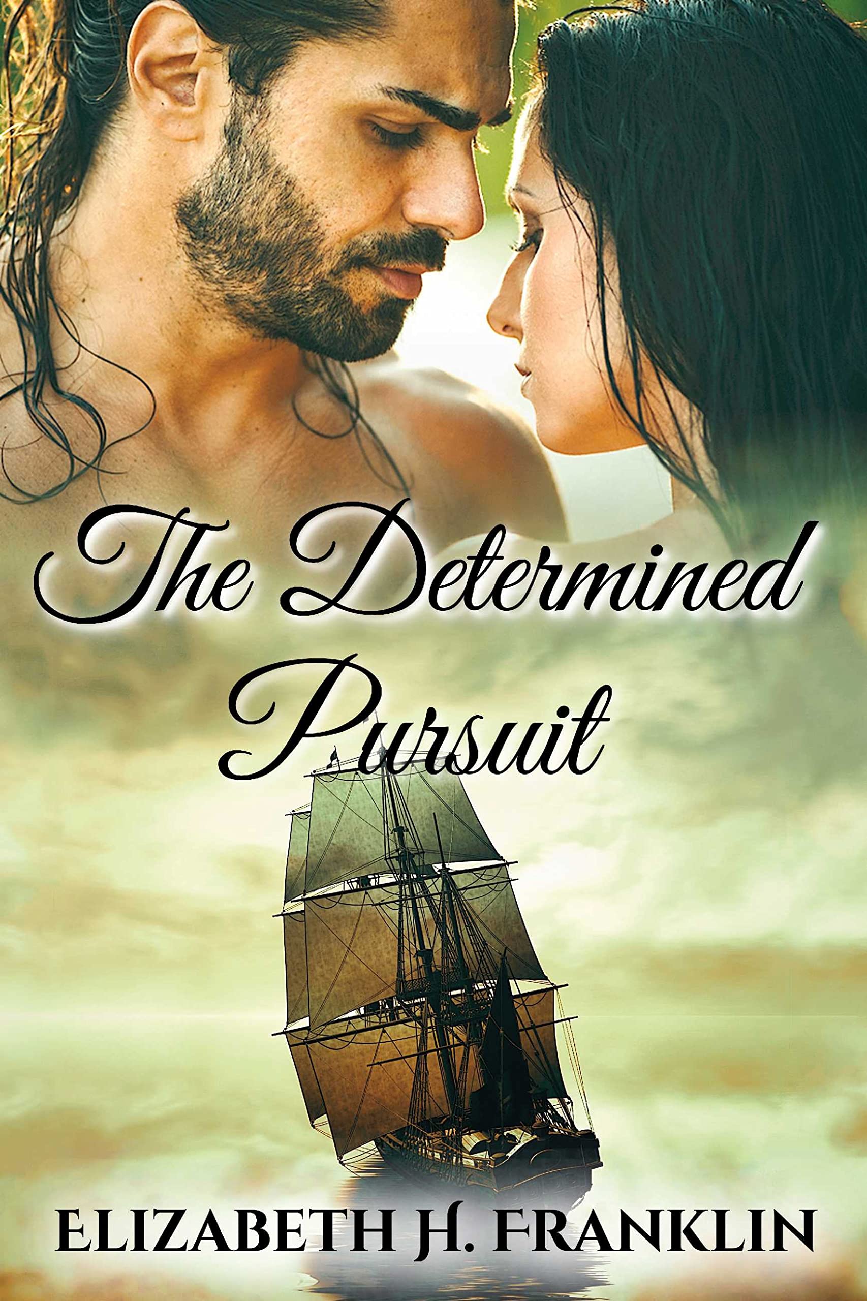The Determined Pursuit by Elizabeth H. Franklin | Goodreads