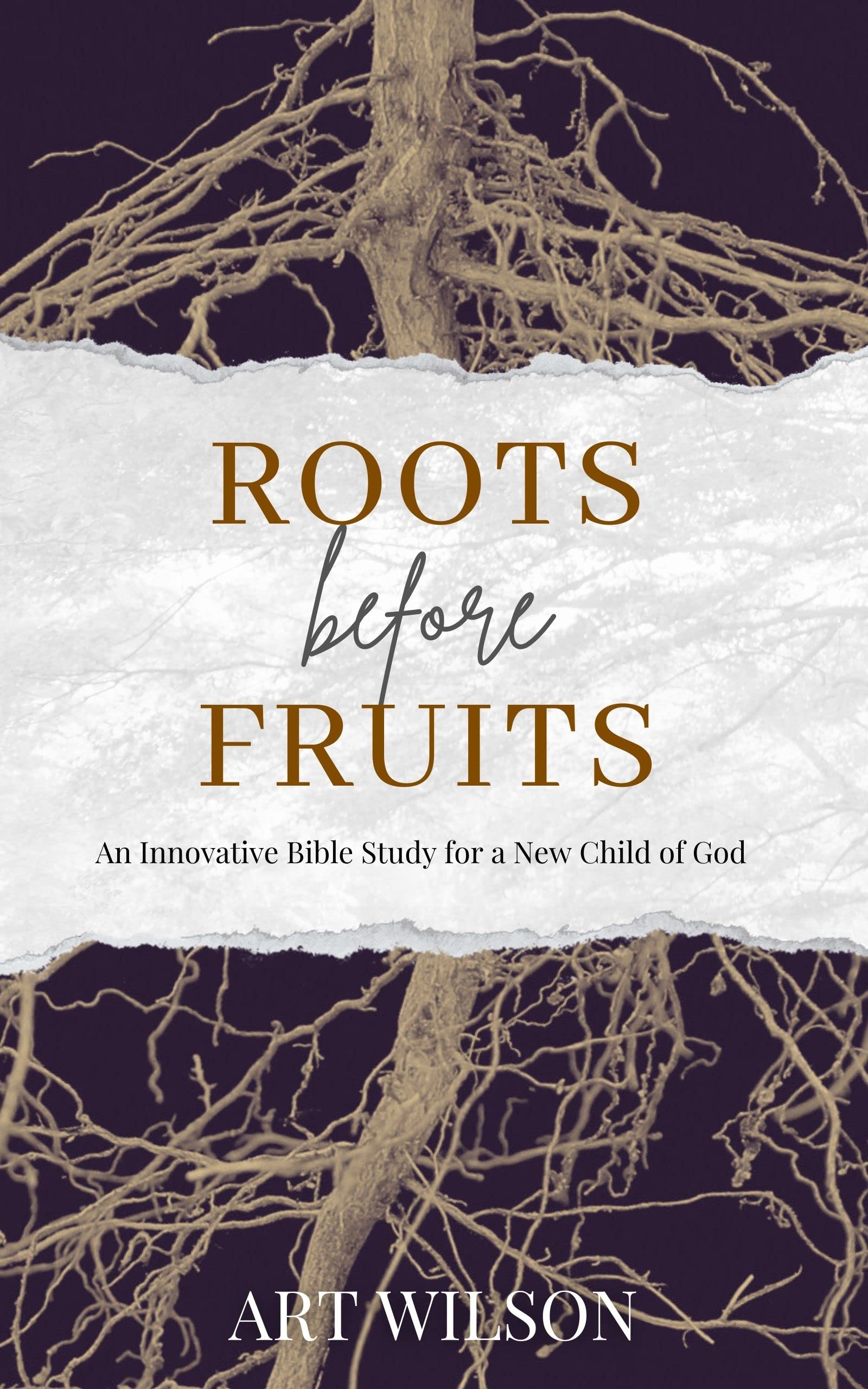 Roots Before Fruits: An Innovative Bible Study for the New Child of God ...