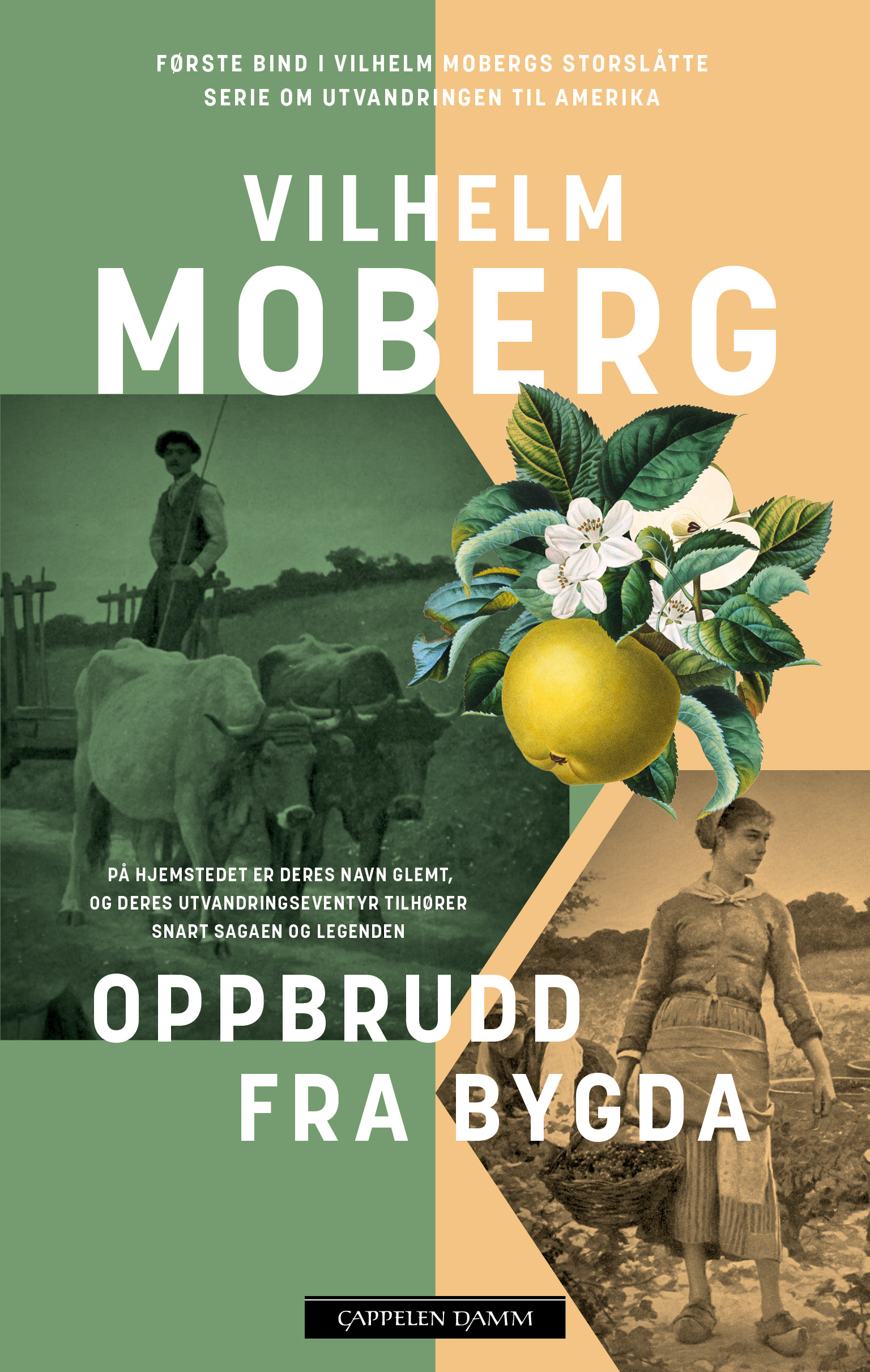 Oppbrudd fra bygda (Utvandrerne #1) by Vilhelm Moberg | Goodreads