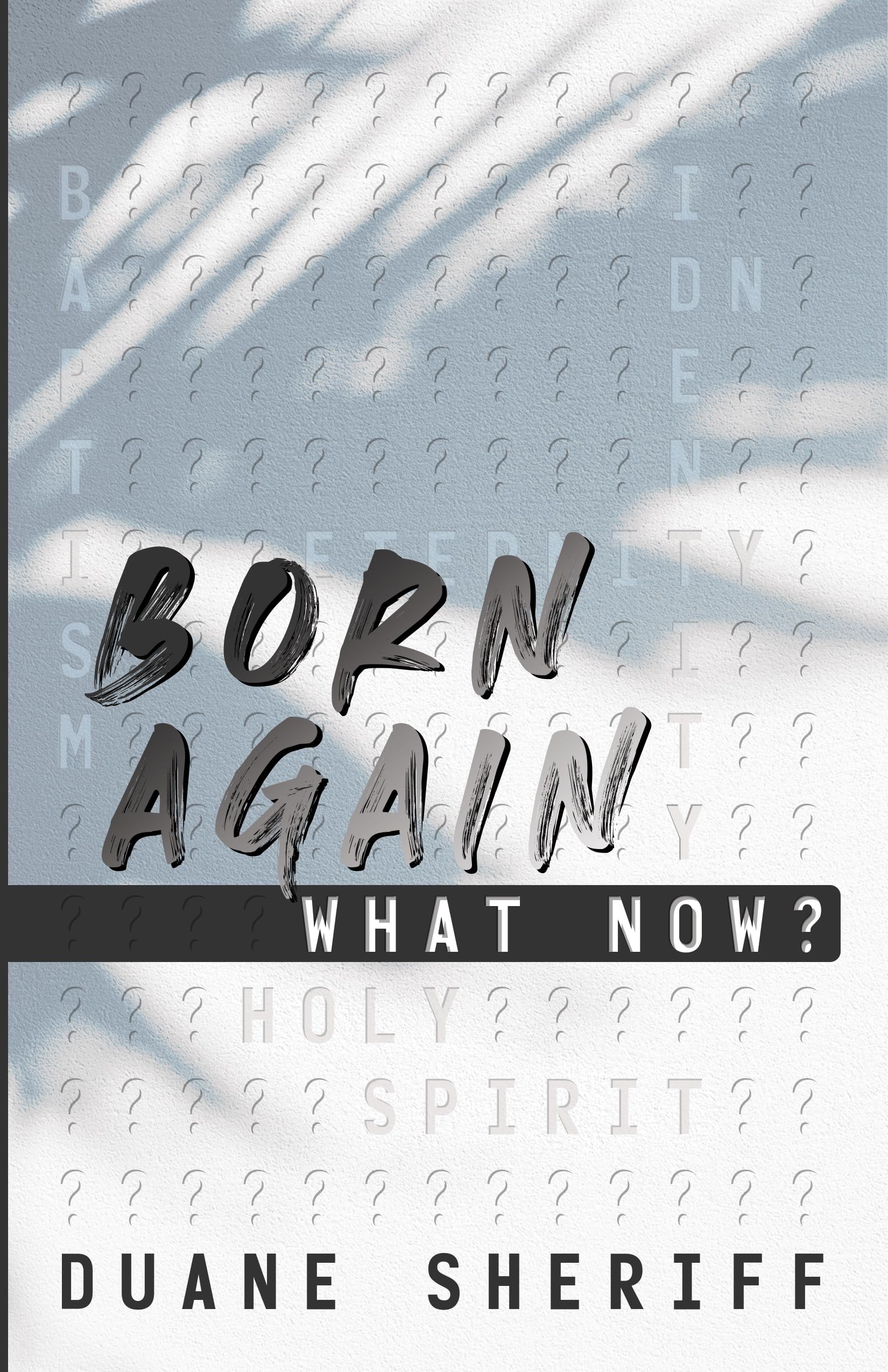 Born Again, What Now? by Duane Sheriff | Goodreads