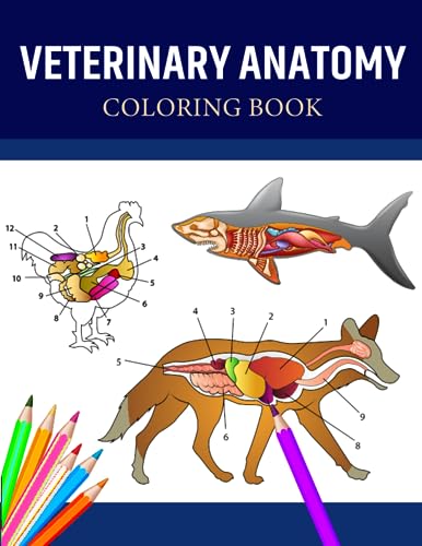 Veterinary Anatomy Coloring Book: A Self-Test Animals Anatomy and ...