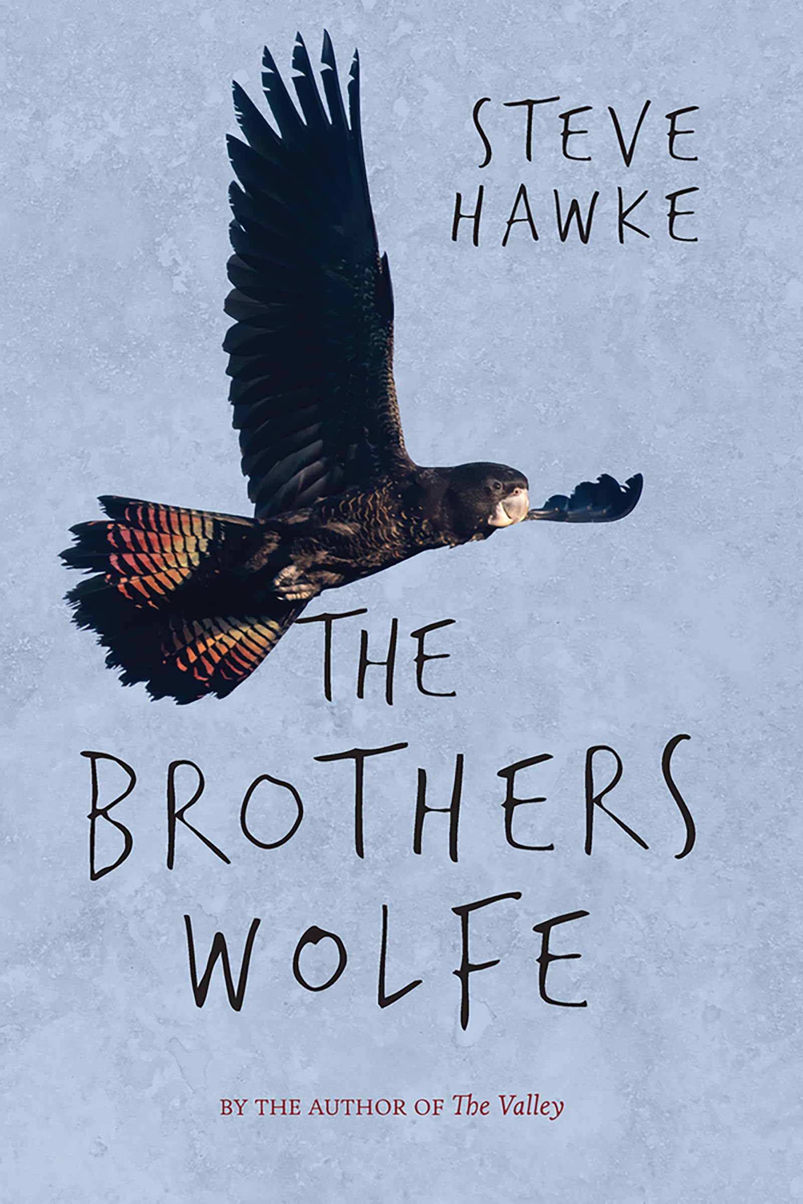 The Brothers Wolfe by Steve Hawke | Goodreads