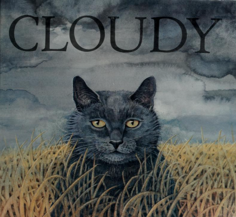 Cloudy by Deborah King | Goodreads