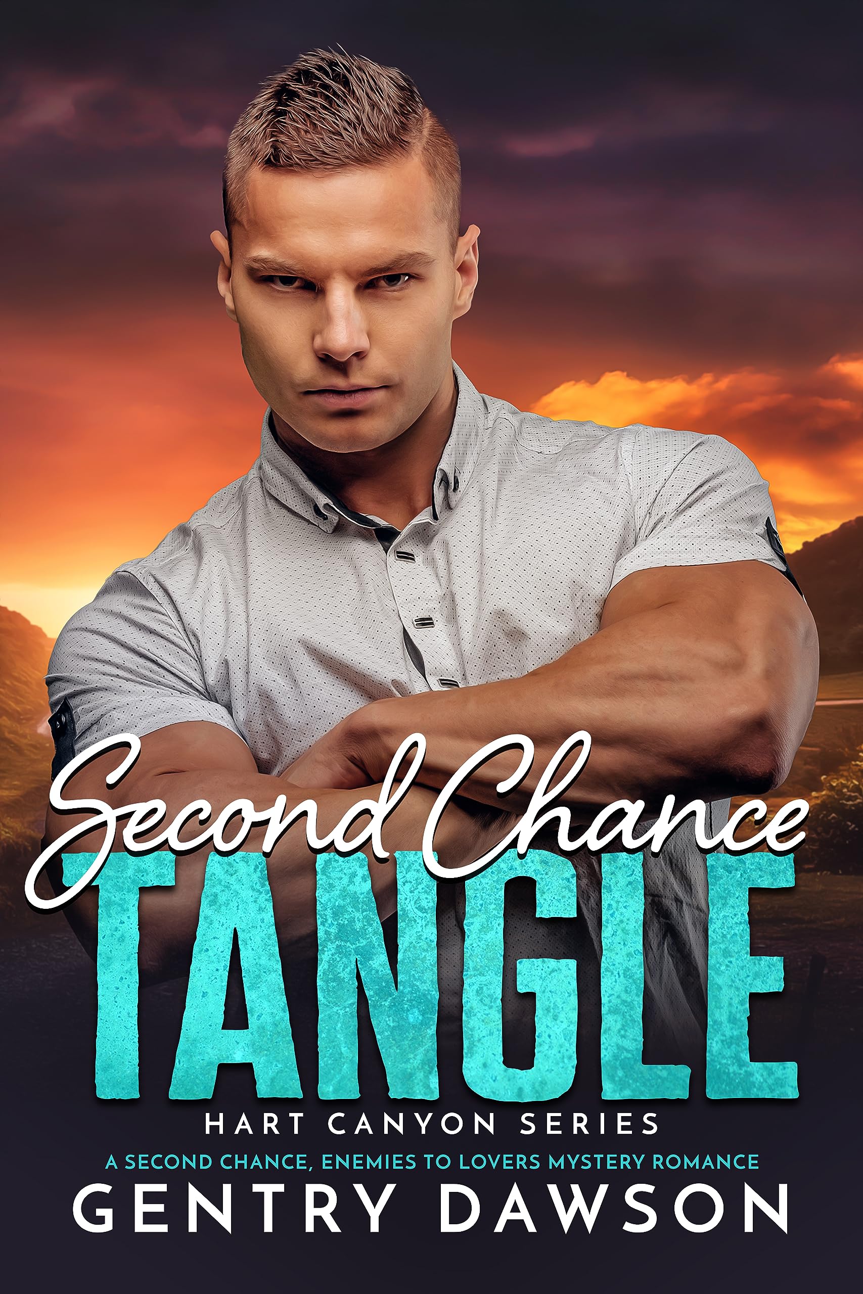 Second Chance Tangle by Gentry Dawson | Goodreads