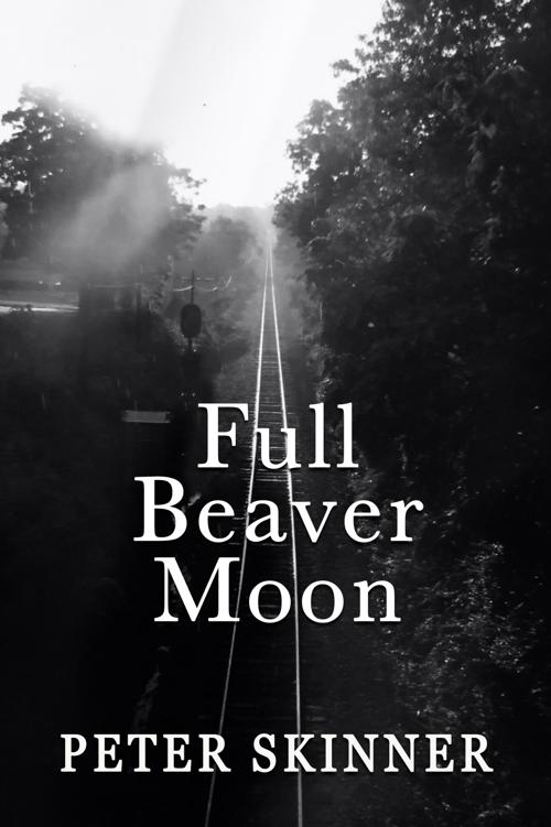 Full Beaver Moon by Peter Skinner | Goodreads