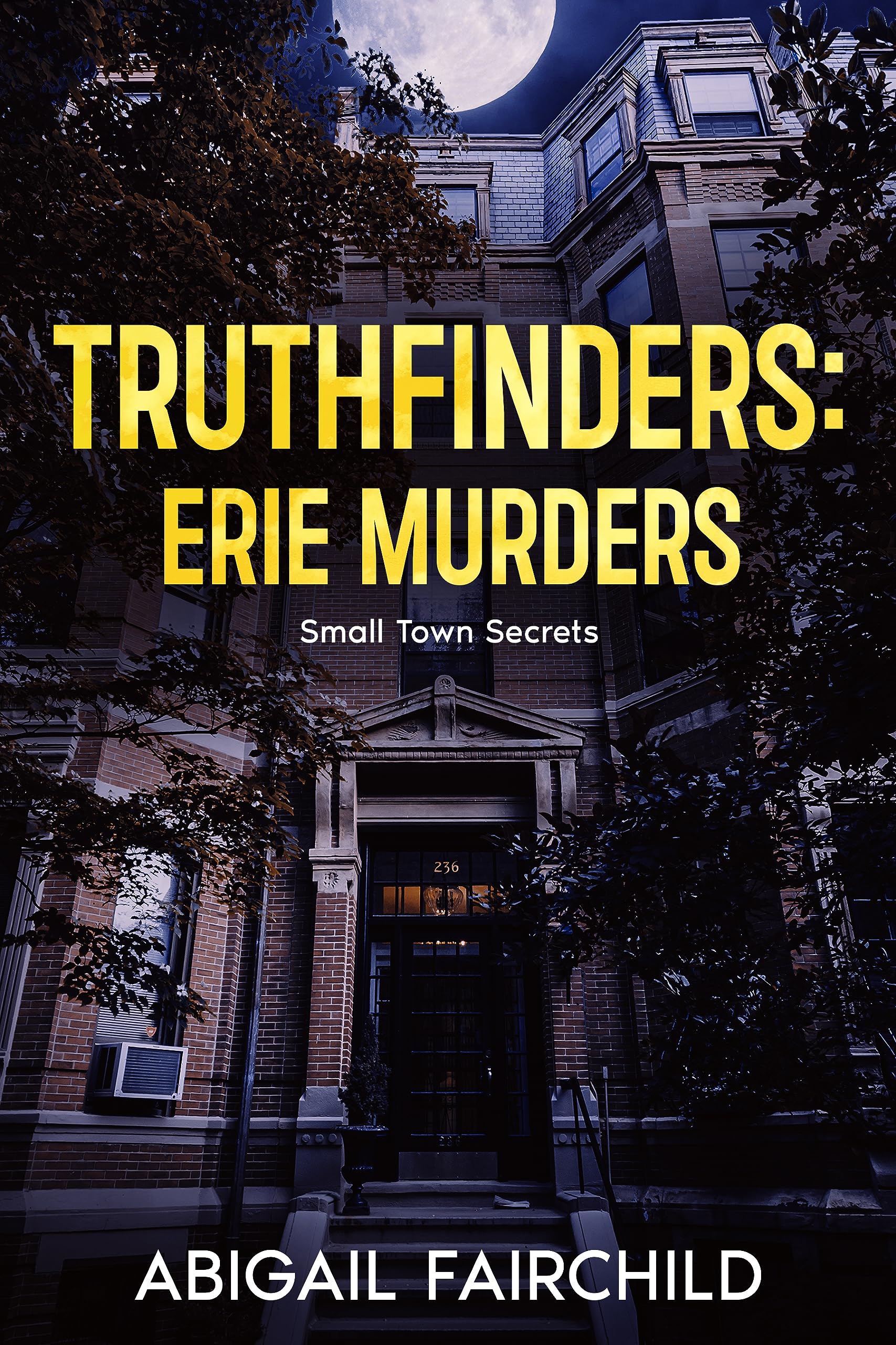Truthfinders: Erie Murders: Small Town Secrets by Abigail Fairchild ...