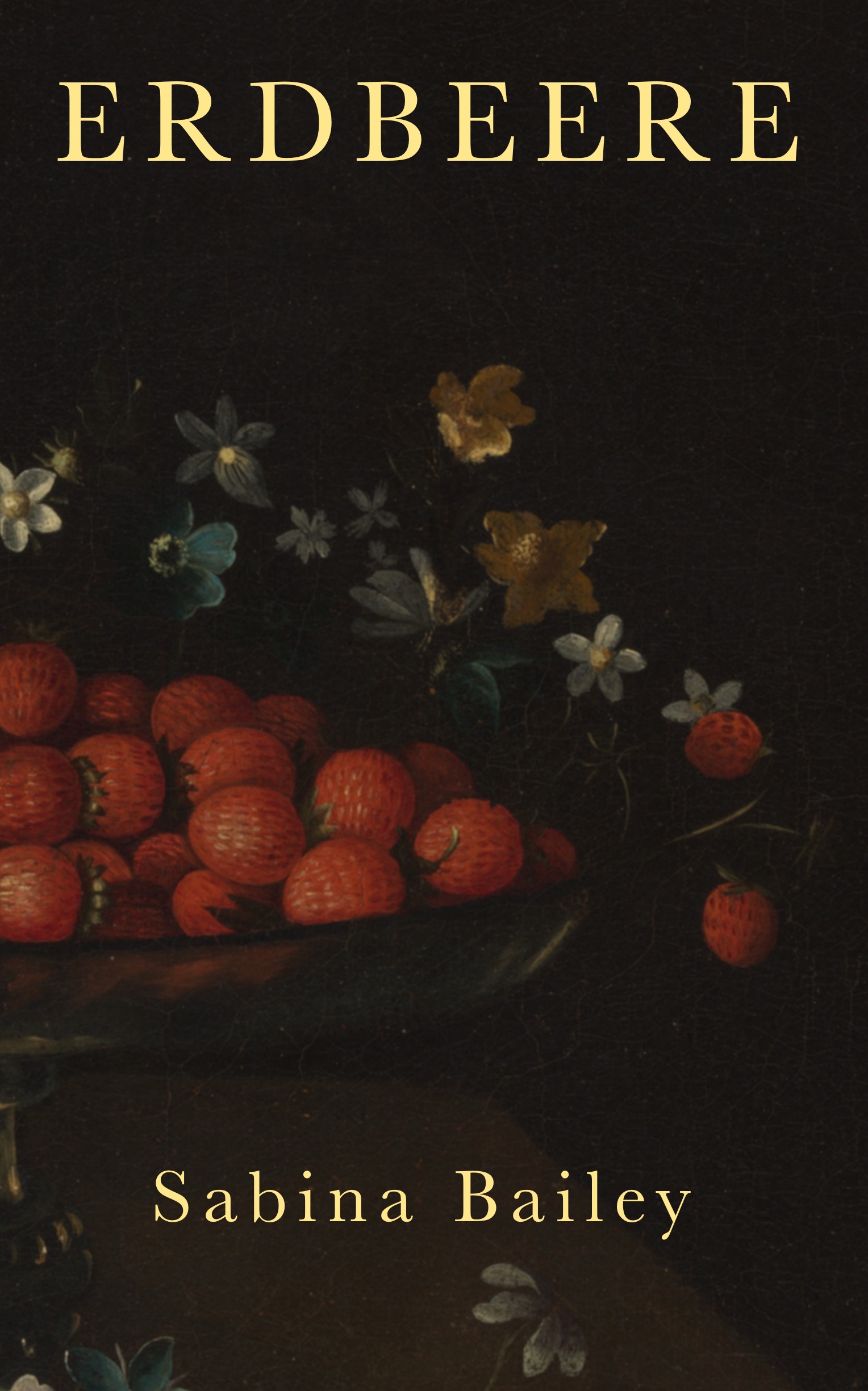 Erdbeere by Sabina Bailey | Goodreads