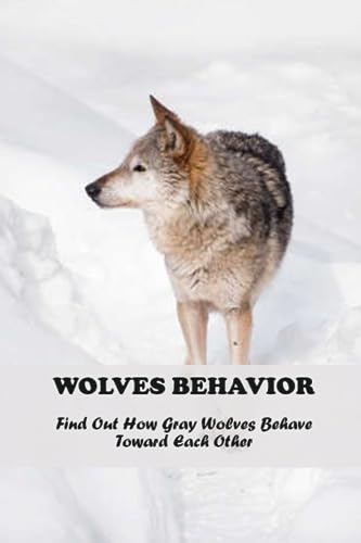 Wolves Behavior: Find Out How Gray Wolves Behave Toward Each Other by ...