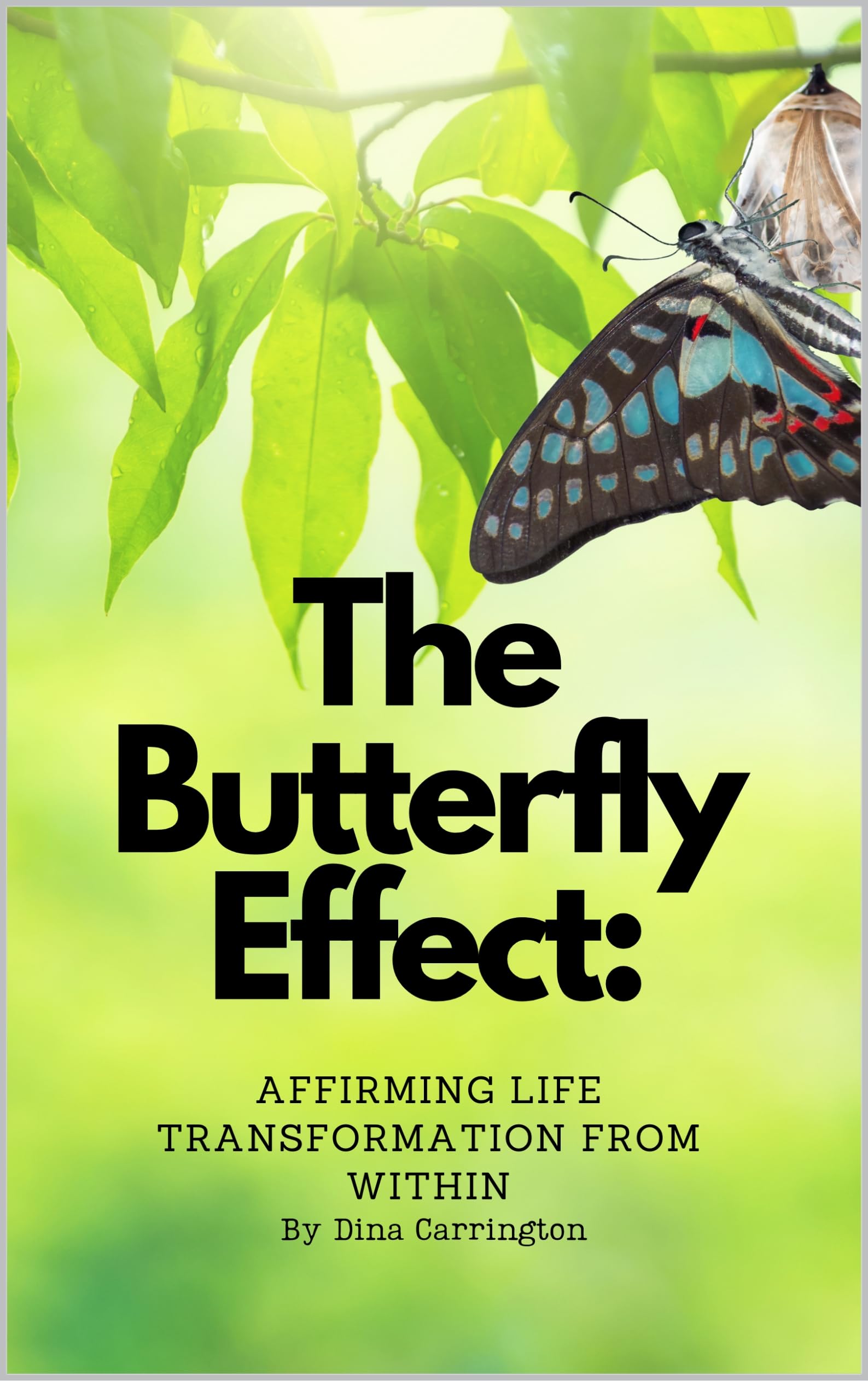 The Butterfly Effect: Affirming Life Transformation from Within by Dina ...