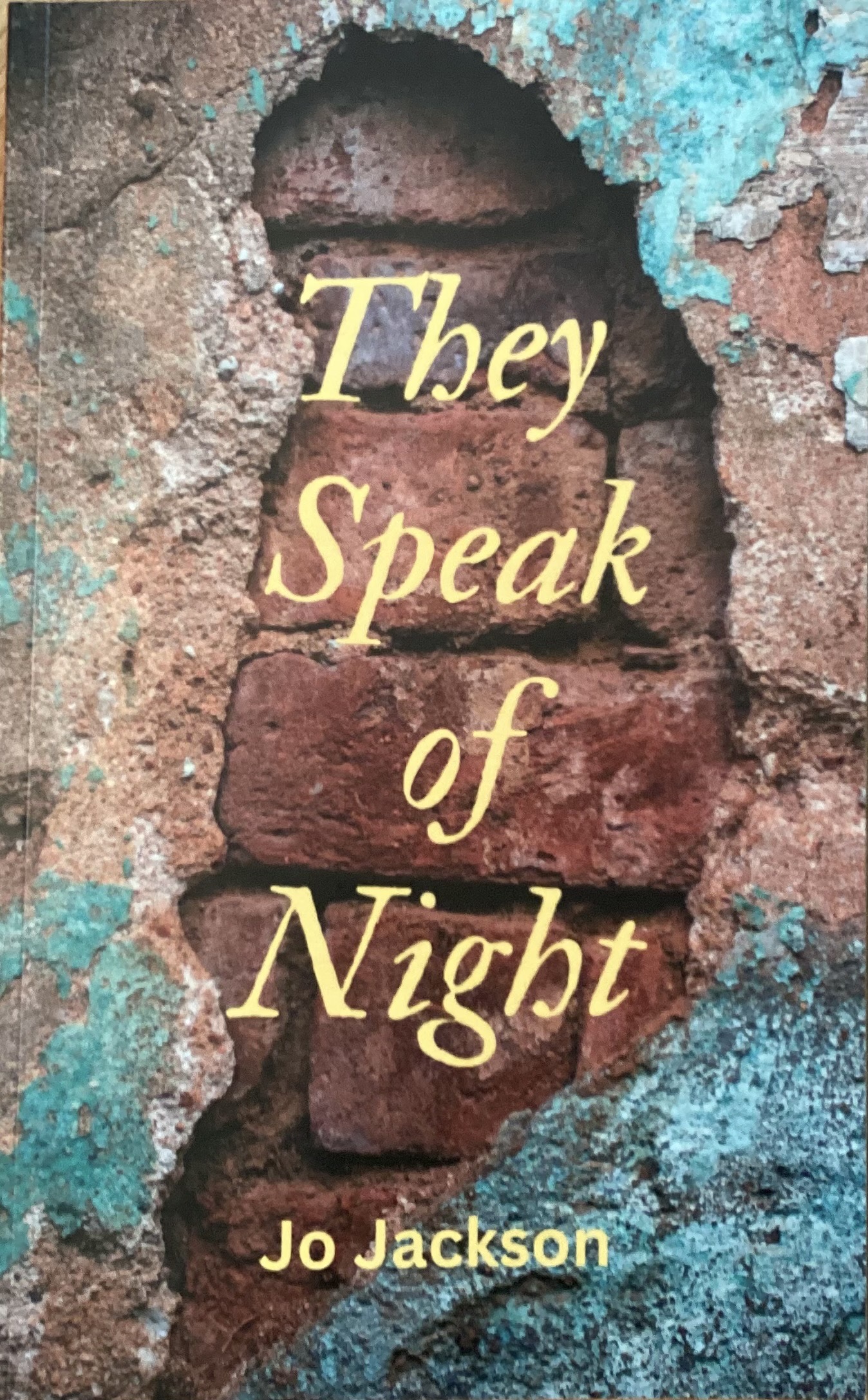 They Speak of Night: A powerful and poignant story of loss and love that spans decades and ...
