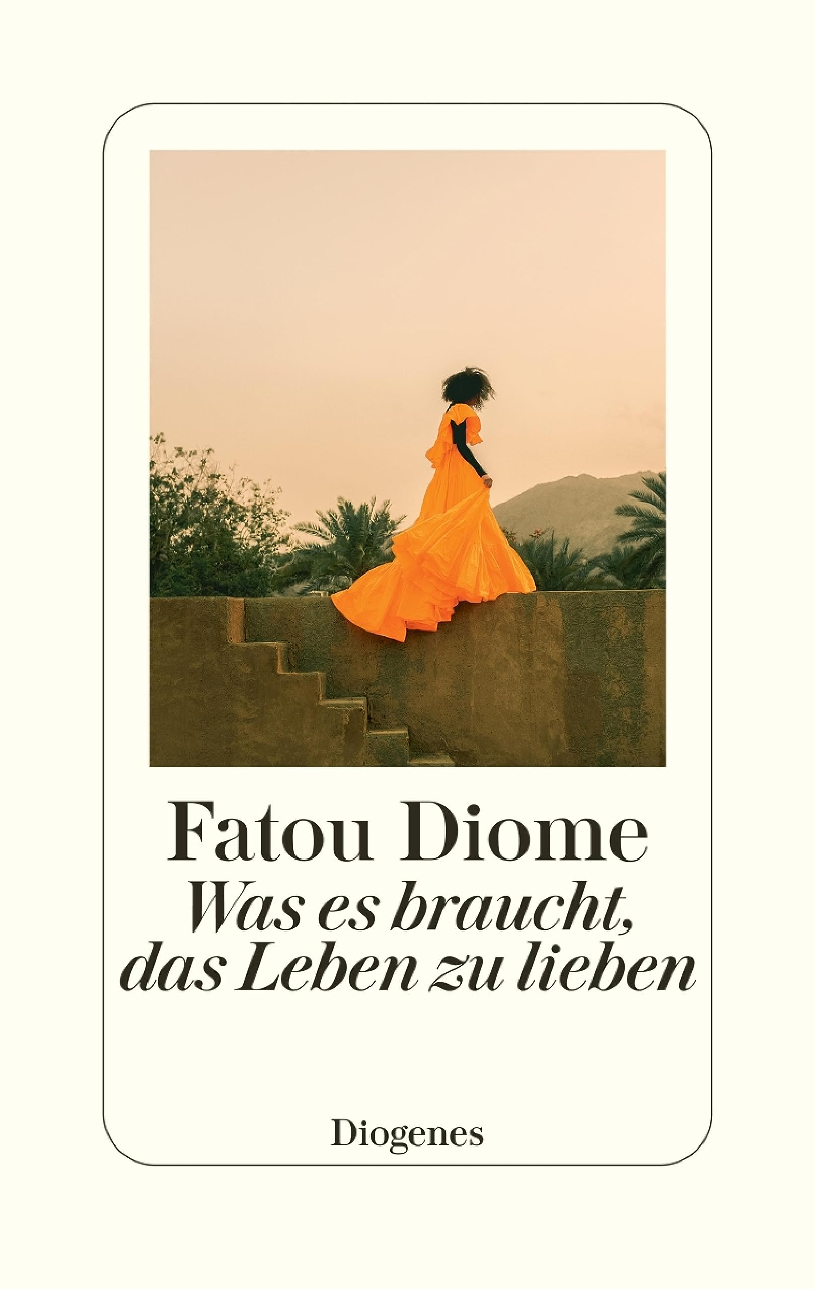 Was es braucht, das Leben zu lieben (German Edition) by Fatou Diome ...