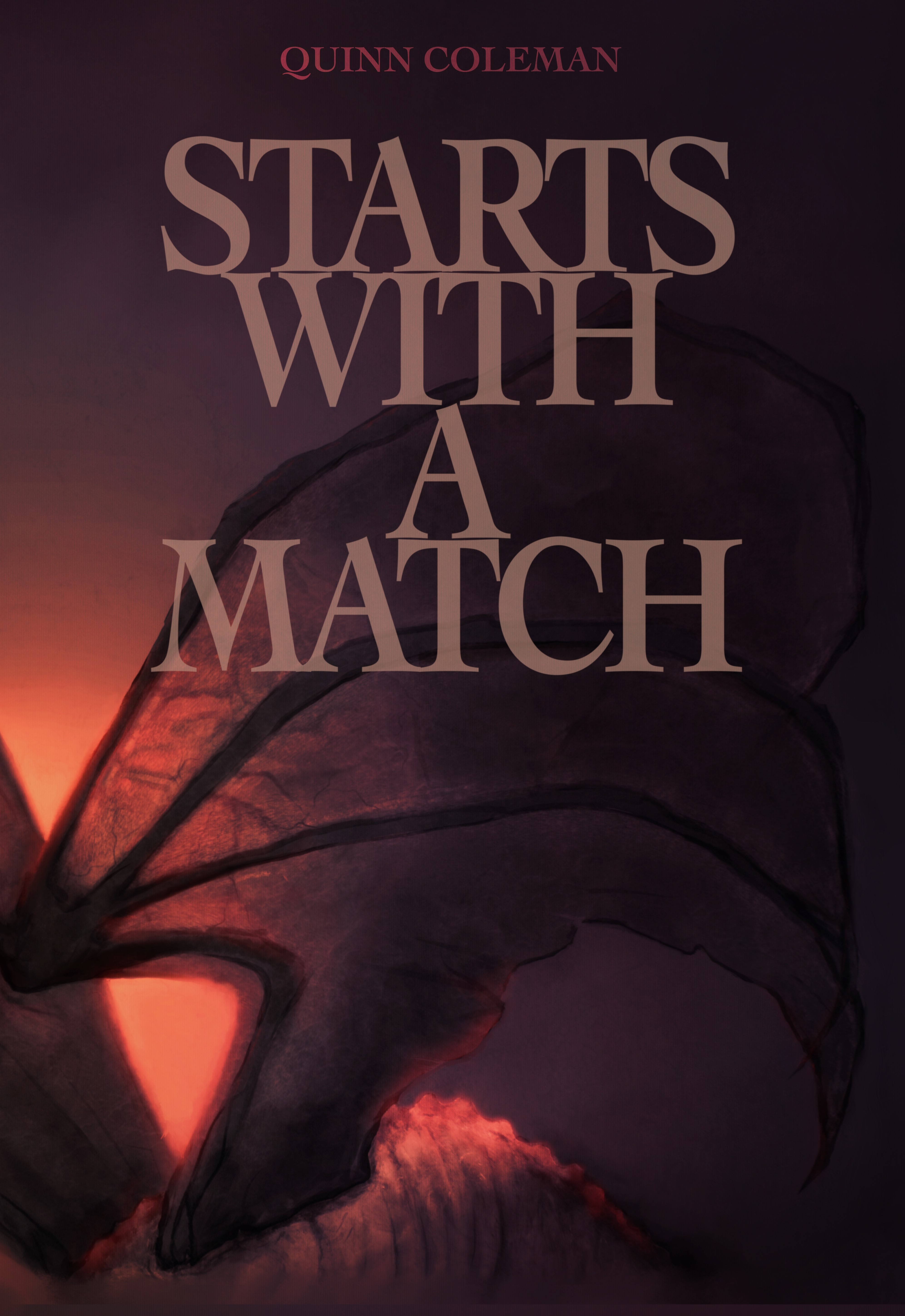 Starts with a Match by Quinn Coleman | Goodreads
