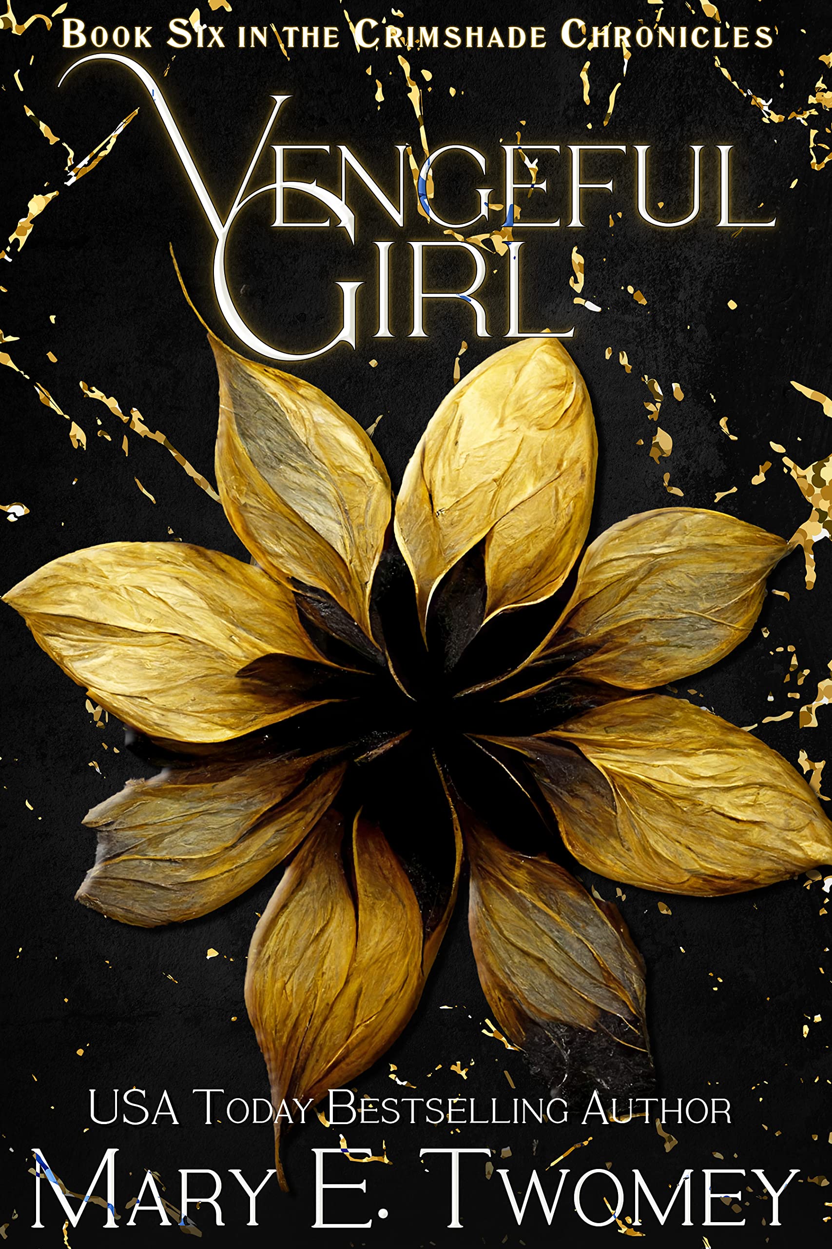 Vengeful Girl: A Fantasy Adventure by Mary E. Twomey | Goodreads