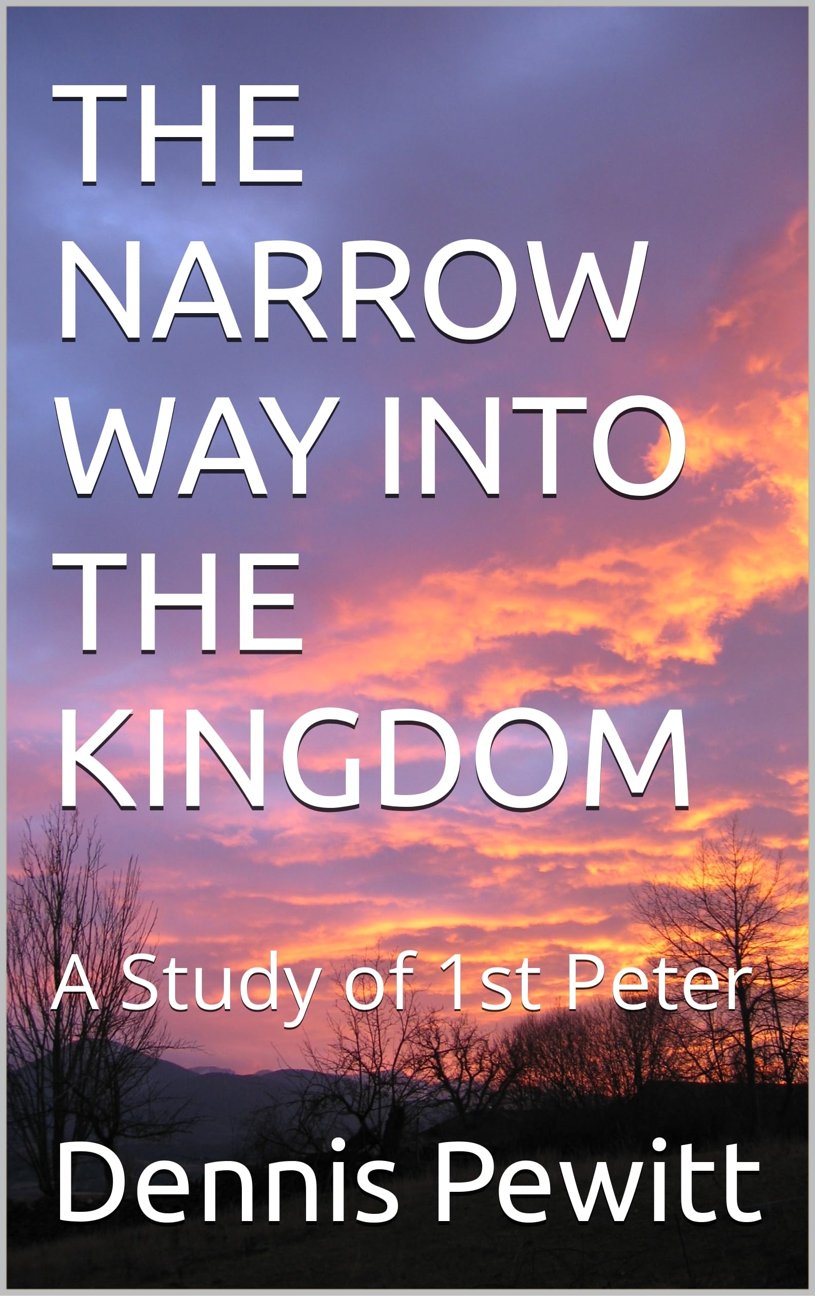 THE NARROW WAY INTO THE KINGDOM: A Study of 1st Peter by Dennis Pewitt ...