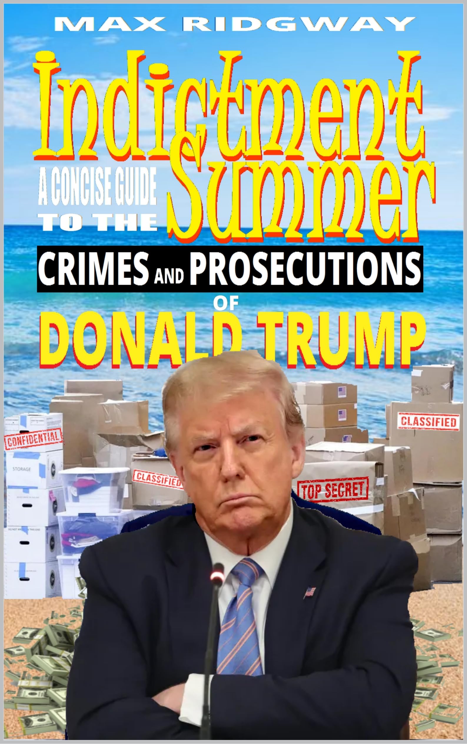 Indictment Summer: A Concise Guide to the Crimes and Prosecutions of ...