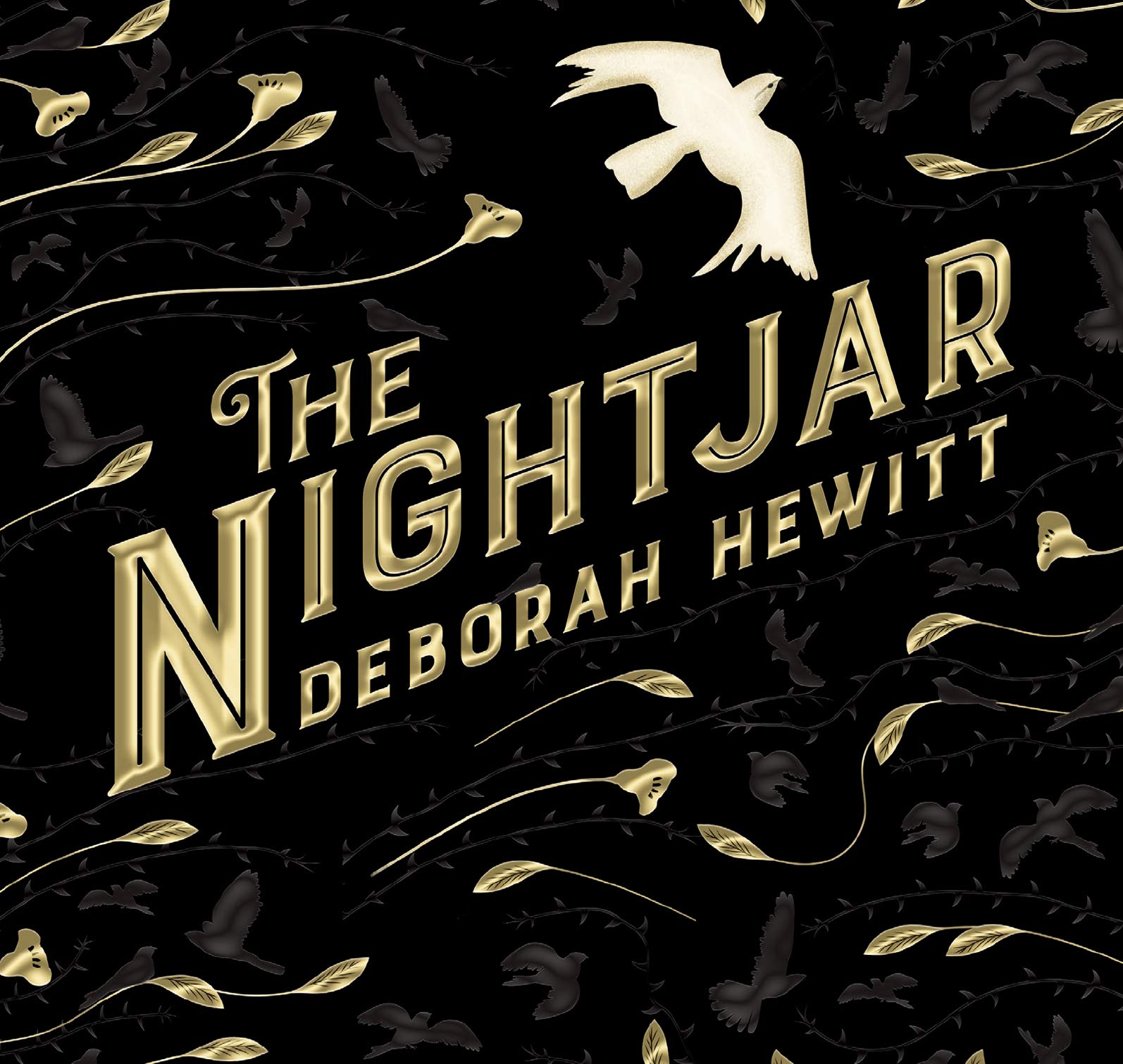 The Nightjar by Deborah Hewitt | Goodreads