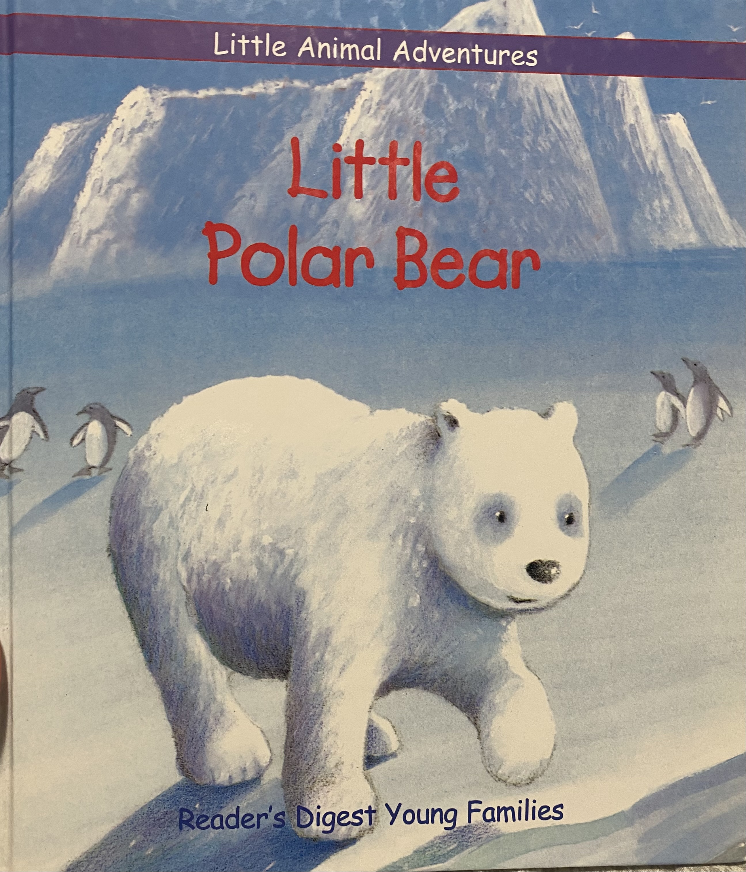 Little polar bear (Little animal adventures) by Mary Connell | Goodreads