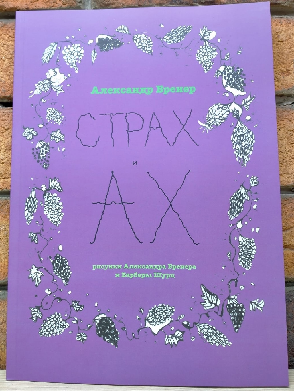 Страх и ах by Alexander Brener | Goodreads