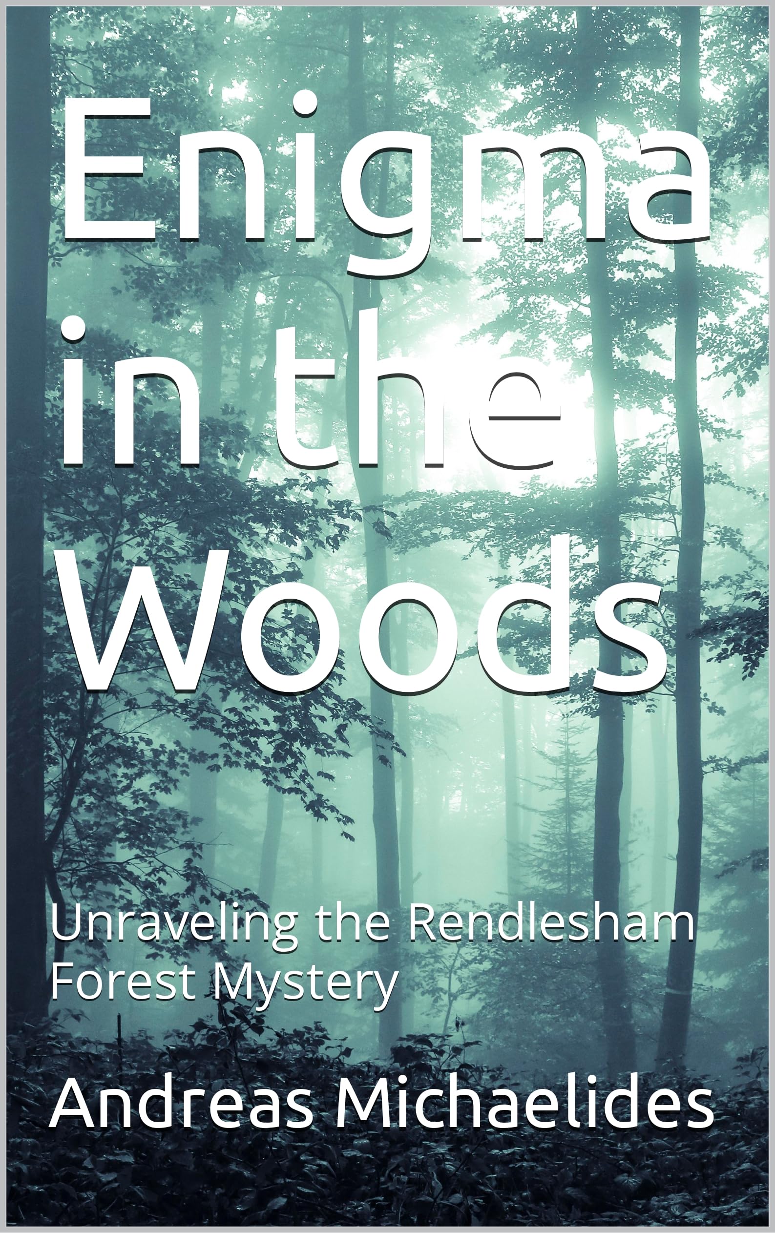 Enigma in the Woods : Unraveling the Rendlesham Forest Mystery by Ariel ...