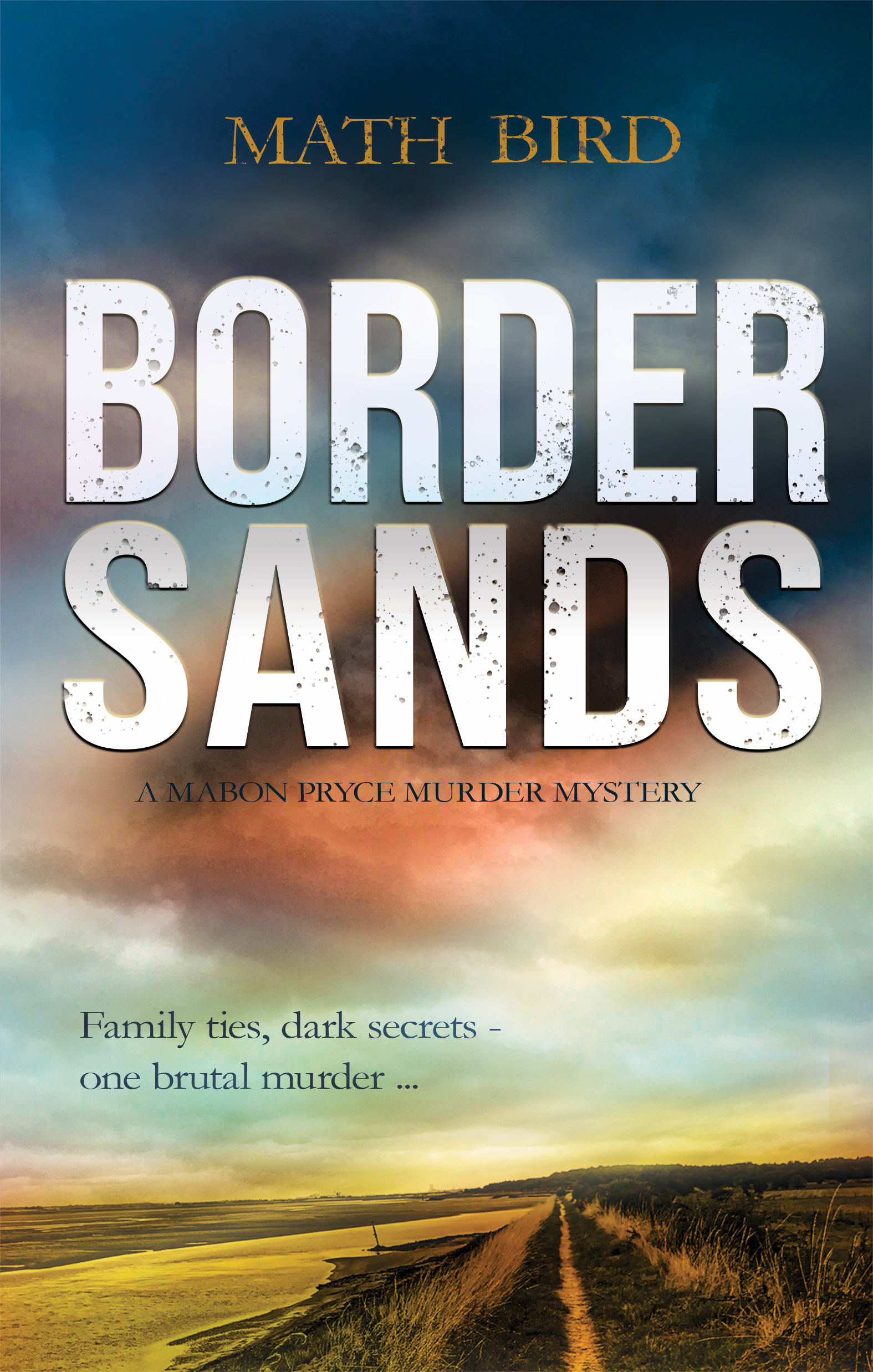 Border Sands: a riveting crime novel, richly atmospheric, set in the borderlands of Wales by ...