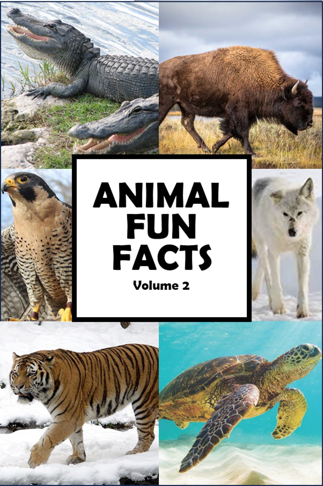 Animal Fun Facts: Over 750 Fun Facts about Animals, Volume 2 by Mental ...