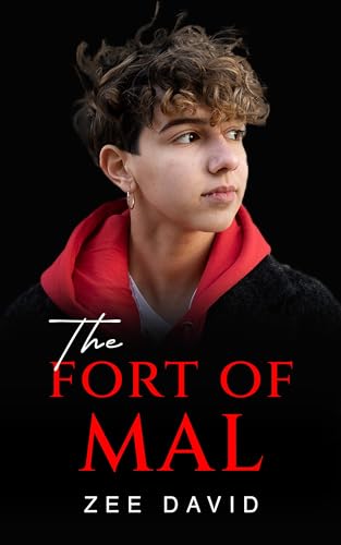 Little Vile Things: The Fort Of Mal by Zee David | Goodreads