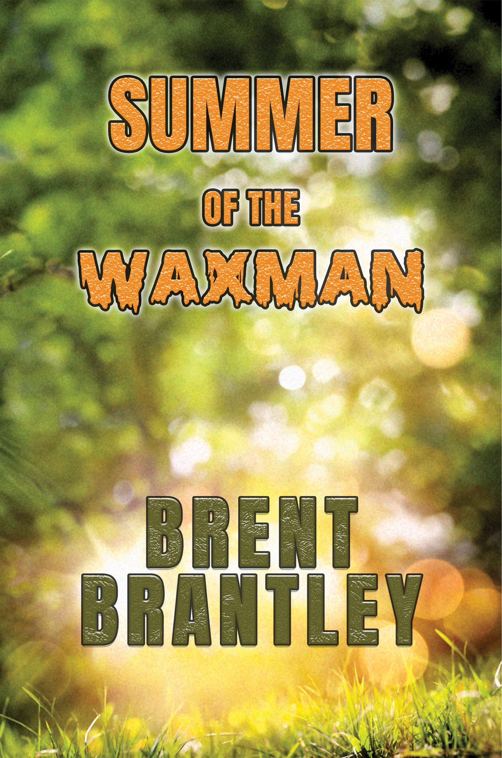 Summer of the Waxman by Brent Brantley | Goodreads