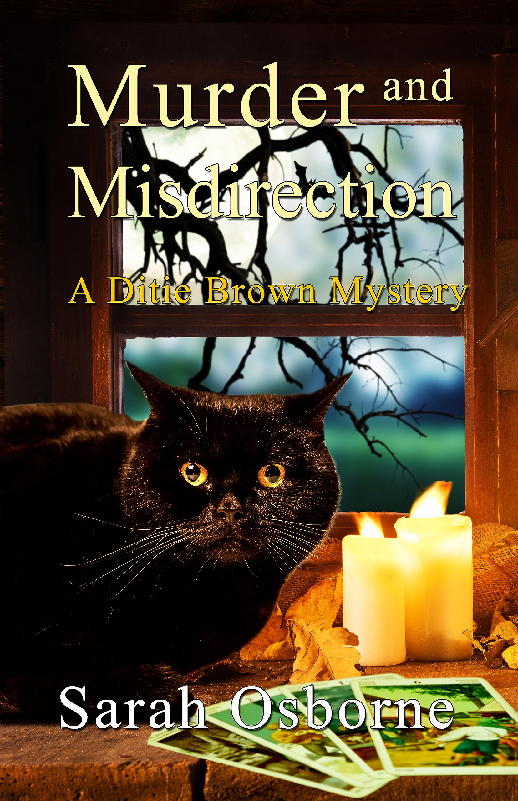 Murder and Misdirection: A Ditie Brown Mystery, Book 6 by Sarah Osborne ...