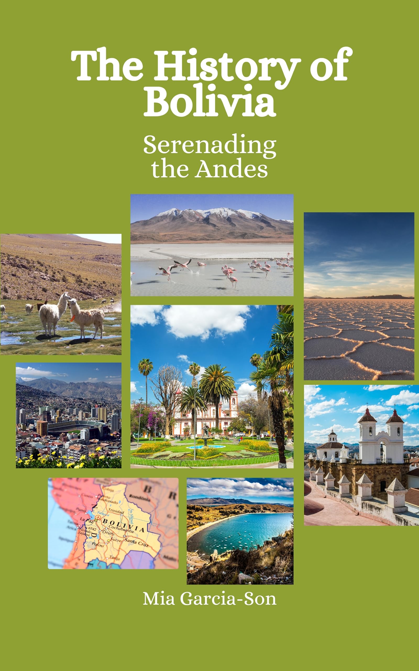 The History of Bolivia: Serenading the Andes by Mia Garcia-Son | Goodreads