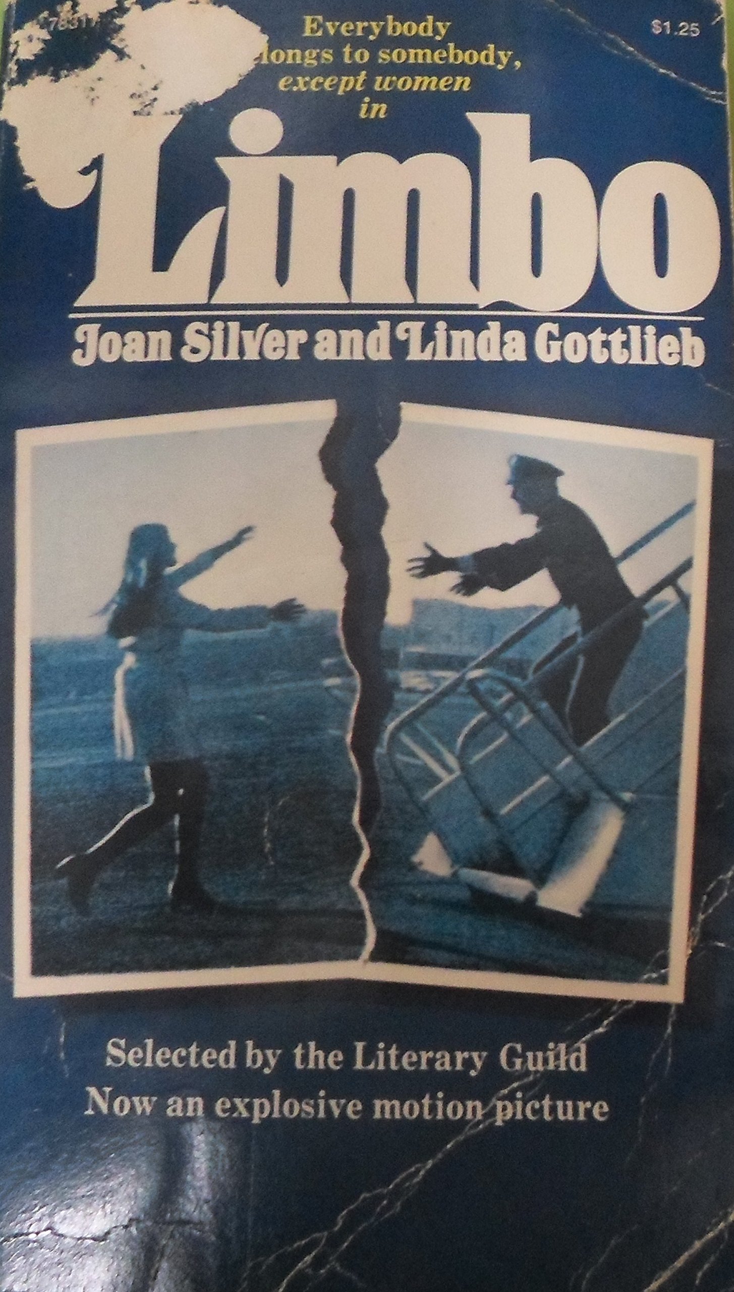 Limbo by Joan Silver and Linda Gottlieb | Goodreads