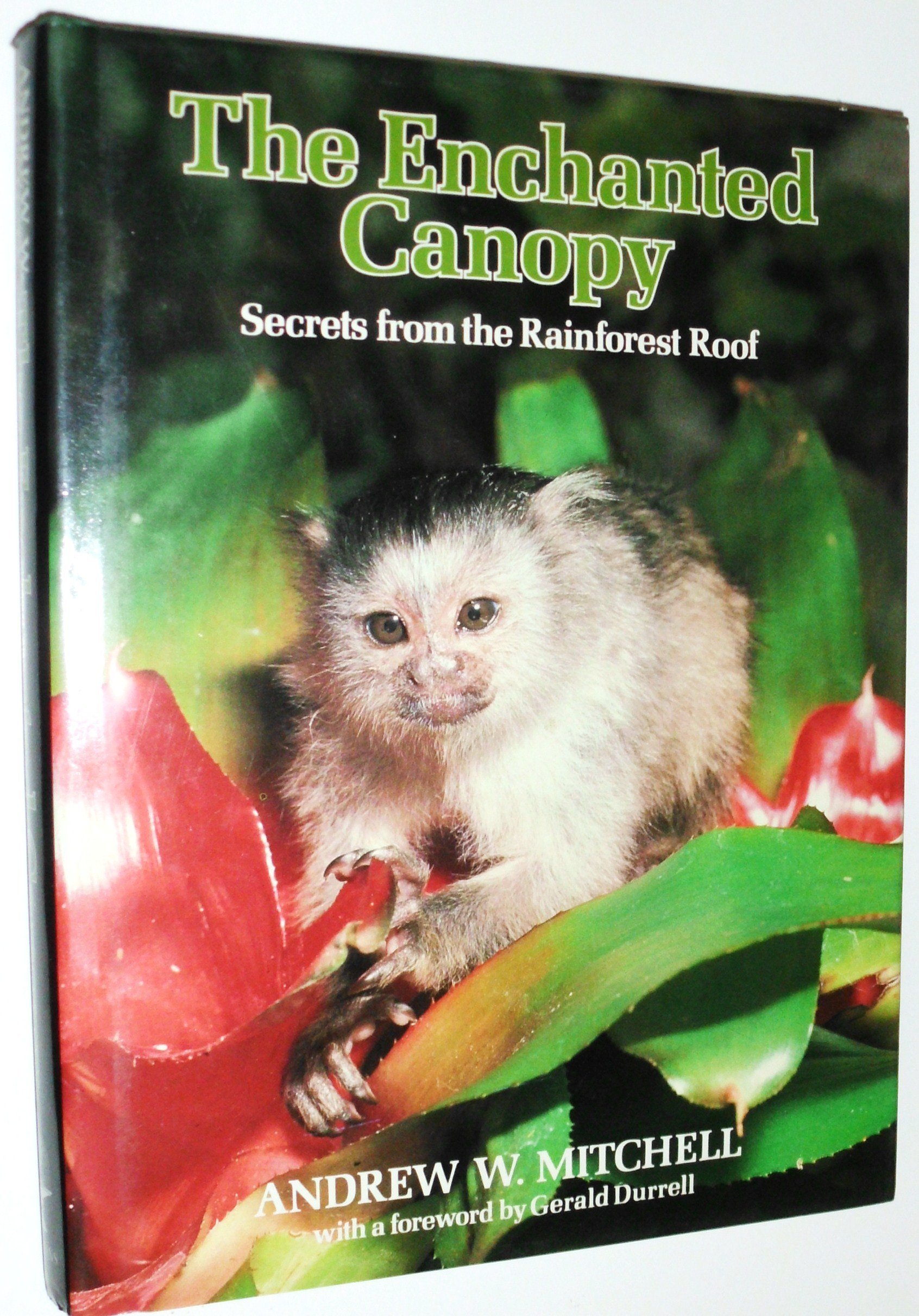 The ENCHANTED CANOPY: Secrets from the Rainforest Roof by Andrew ...