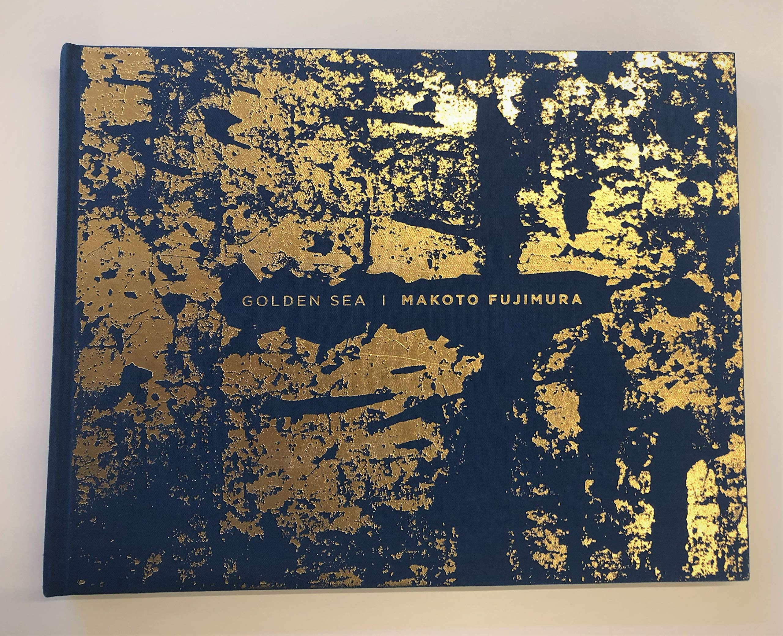 Golden Sea by Makoto Fujimura | Goodreads