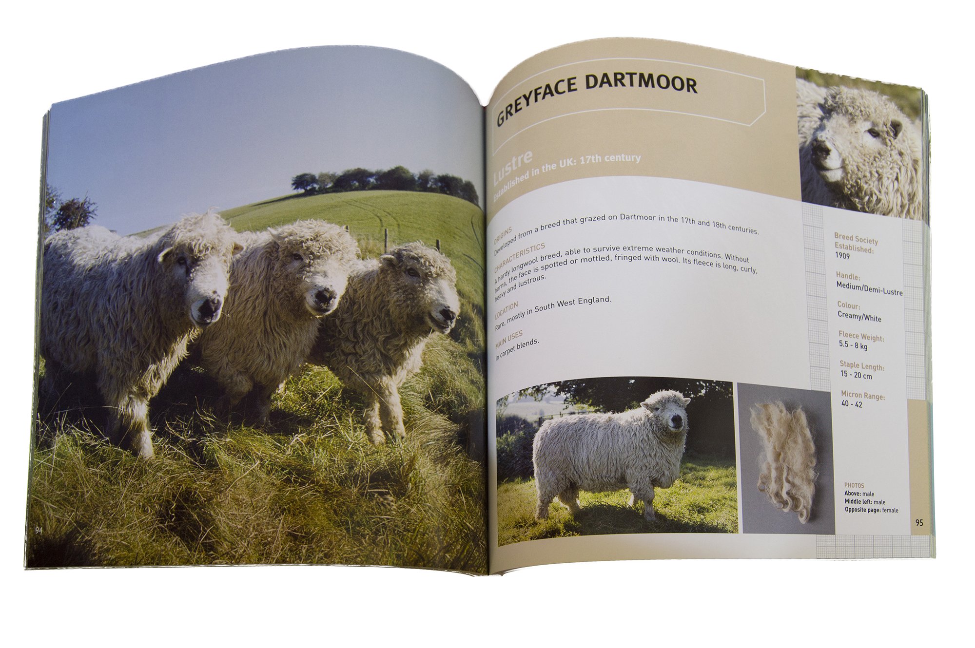 British Sheep & Wool: A Guide to British Sheep Breeds and Their Unique ...