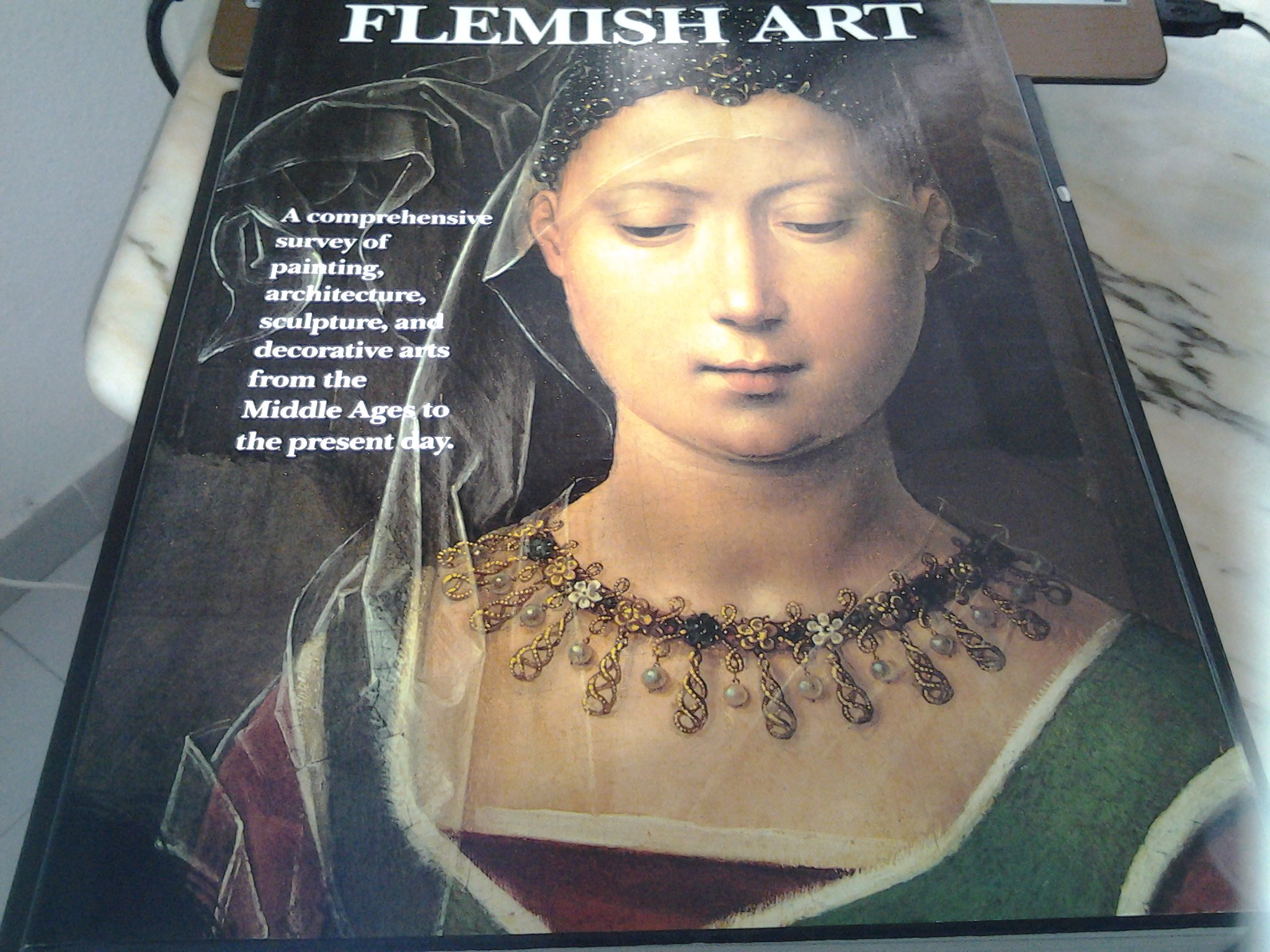 Flemish Art by Herman Liebaers | Goodreads