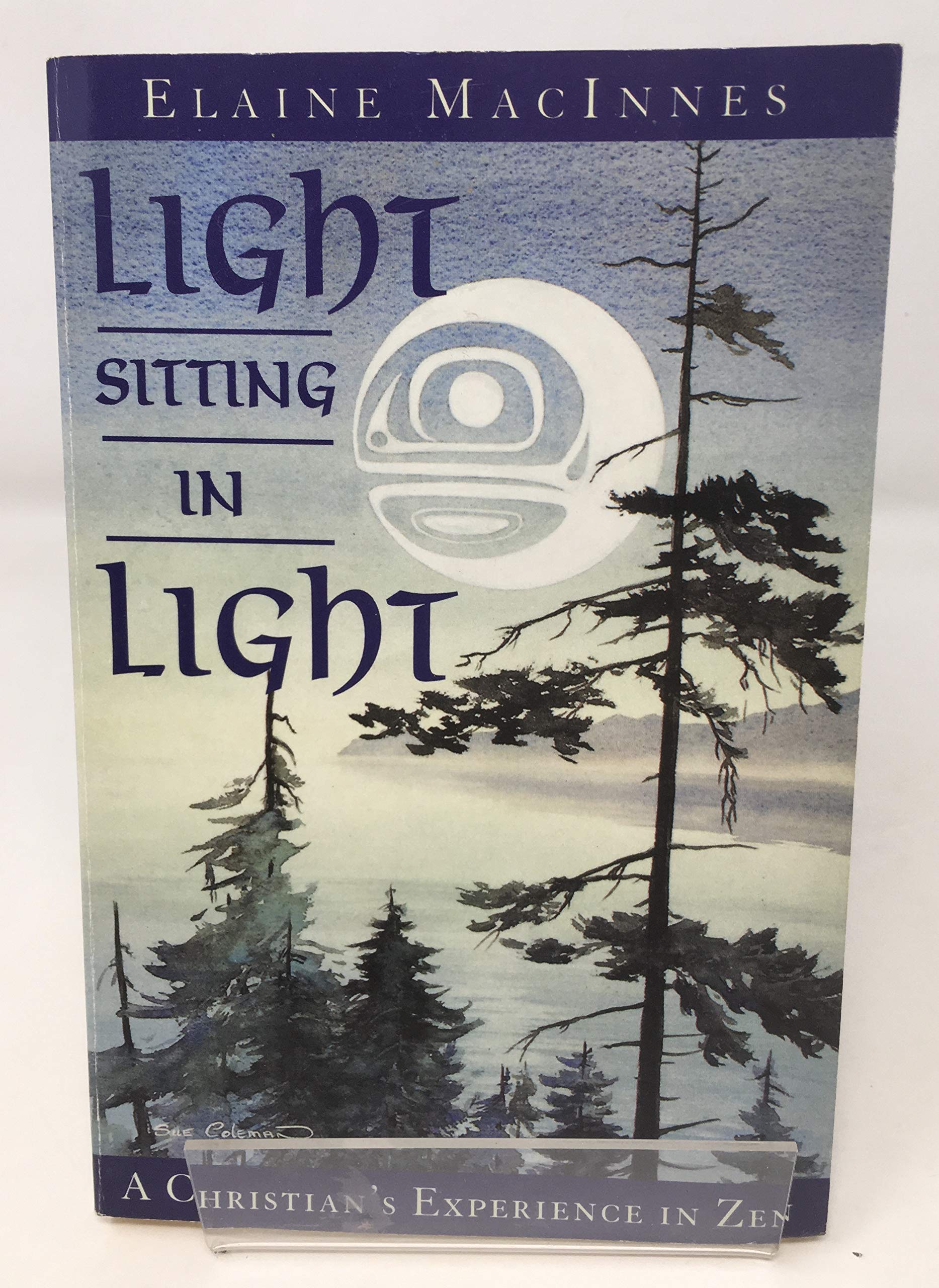 Light Sitting in Light: A Christian's Experience in Zen by Elaine ...