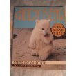 Andy Bear: A Polar Cub Grows Up at the Zoo by Ginny Johnston | Goodreads