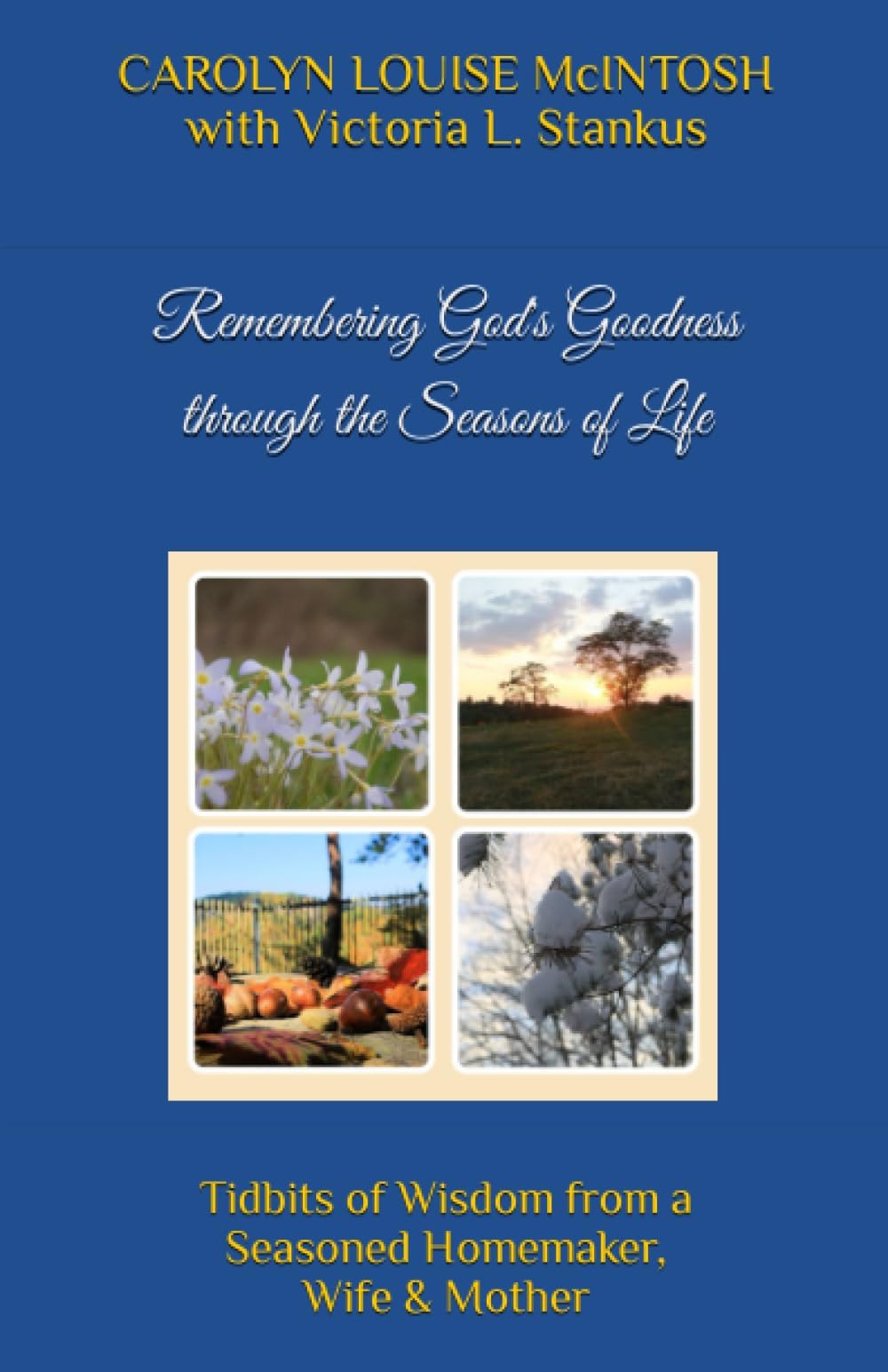 Remembering God's Goodness through the Seasons of Life: Tidbits of ...