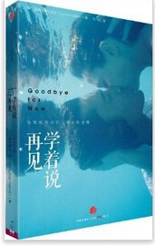 Goodbye for Now by [ MEI ] LUO RUI · FU LAN KE ER ( Laurie Frankel ...