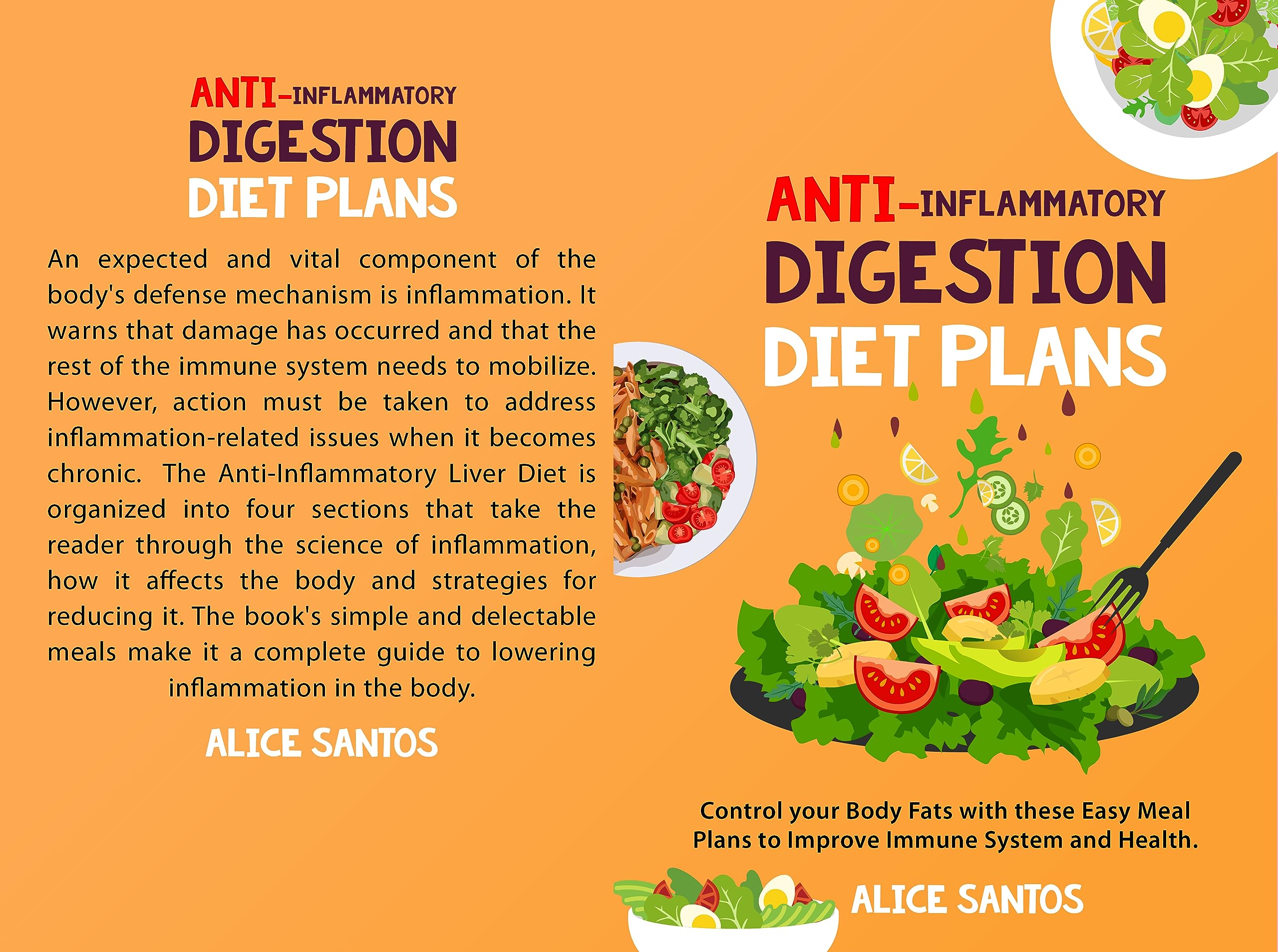 Anti-Inflammatory Digestion Diet Plans : Control your Body Fats with ...