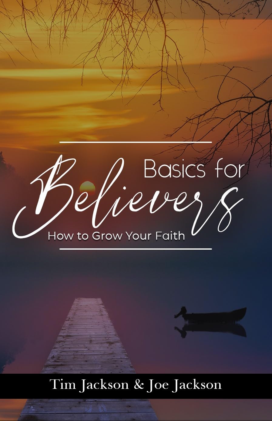Basics For Believers: How to Grow your Faith by Joseph Jackson | Goodreads