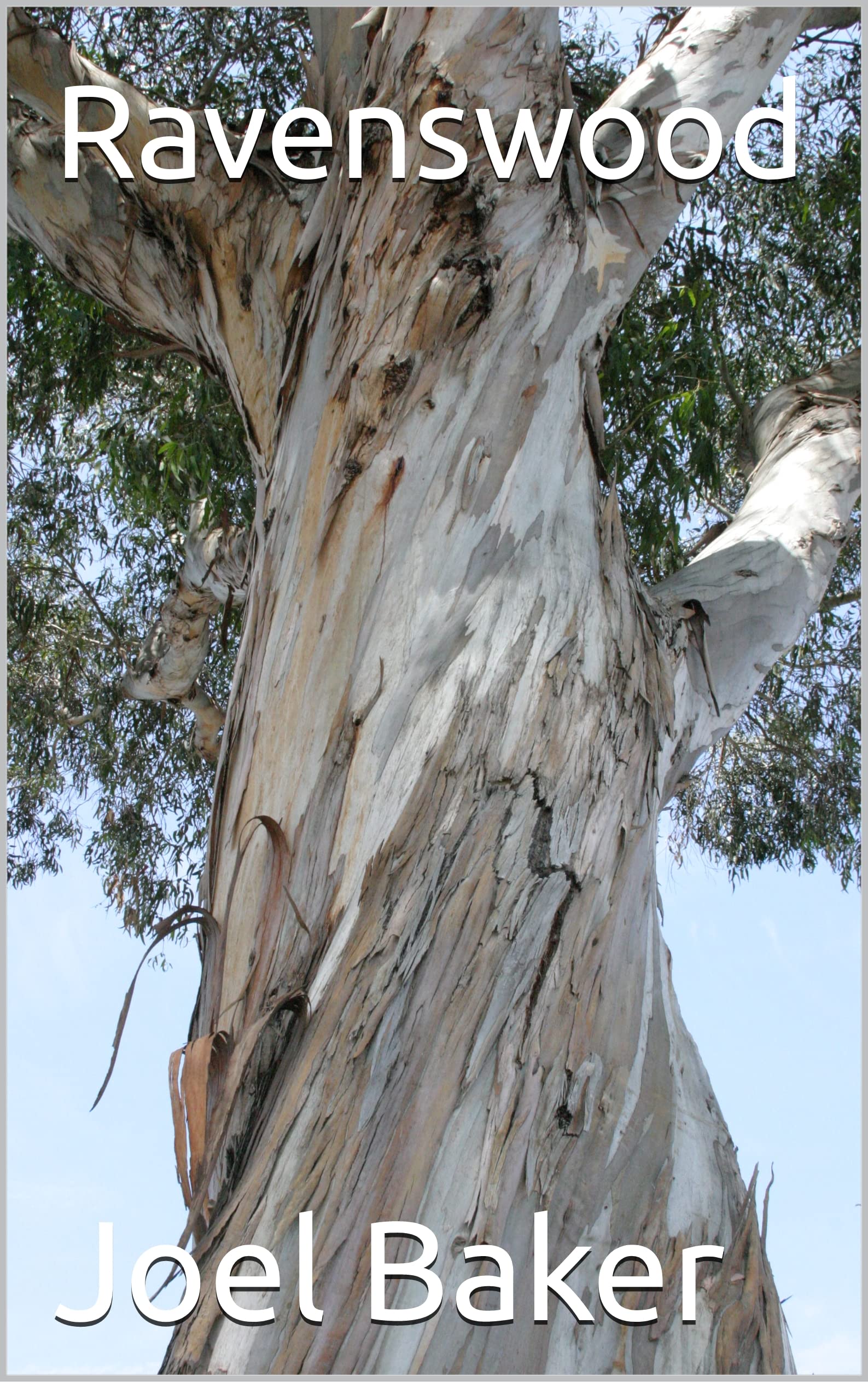 Ravenswood by Joel Baker | Goodreads