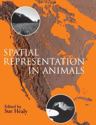 Spatial Representation in Animals by Oxford University Press by Susan D ...