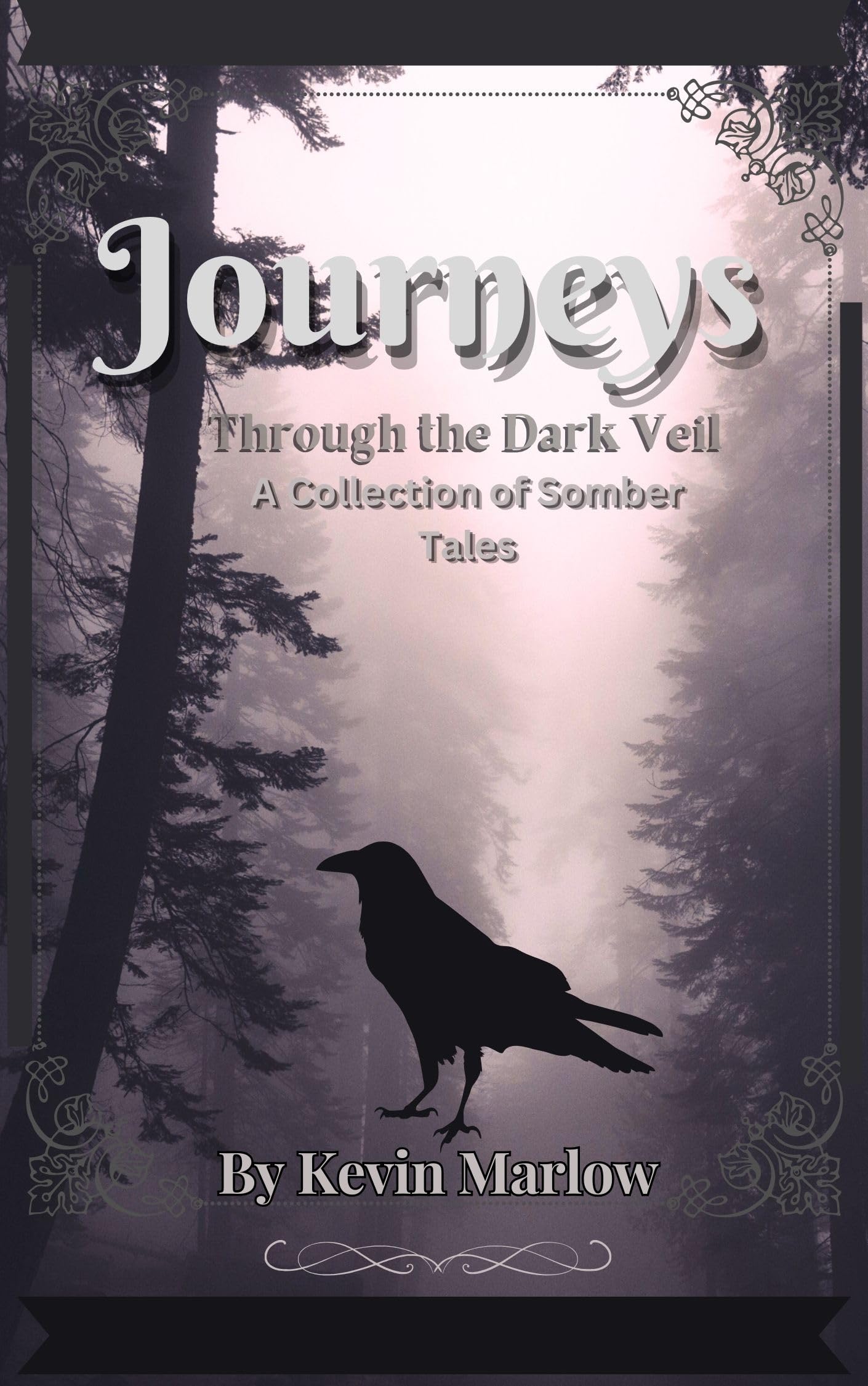 Journeys Through the Dark Veil: A Collection of Somber Tales by Kevin ...