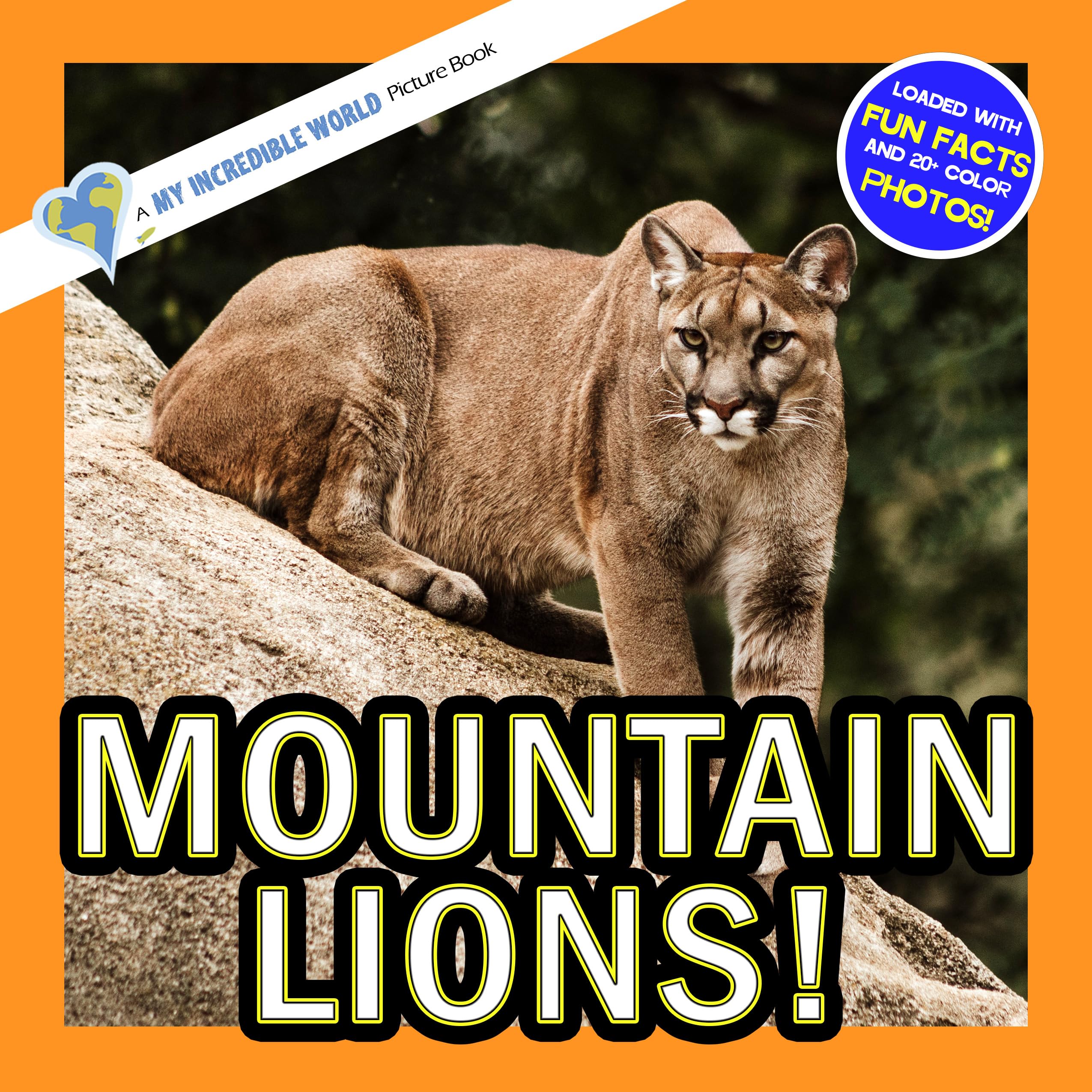 Mountain Lions!: A My Incredible World Picture Book for Children by ...