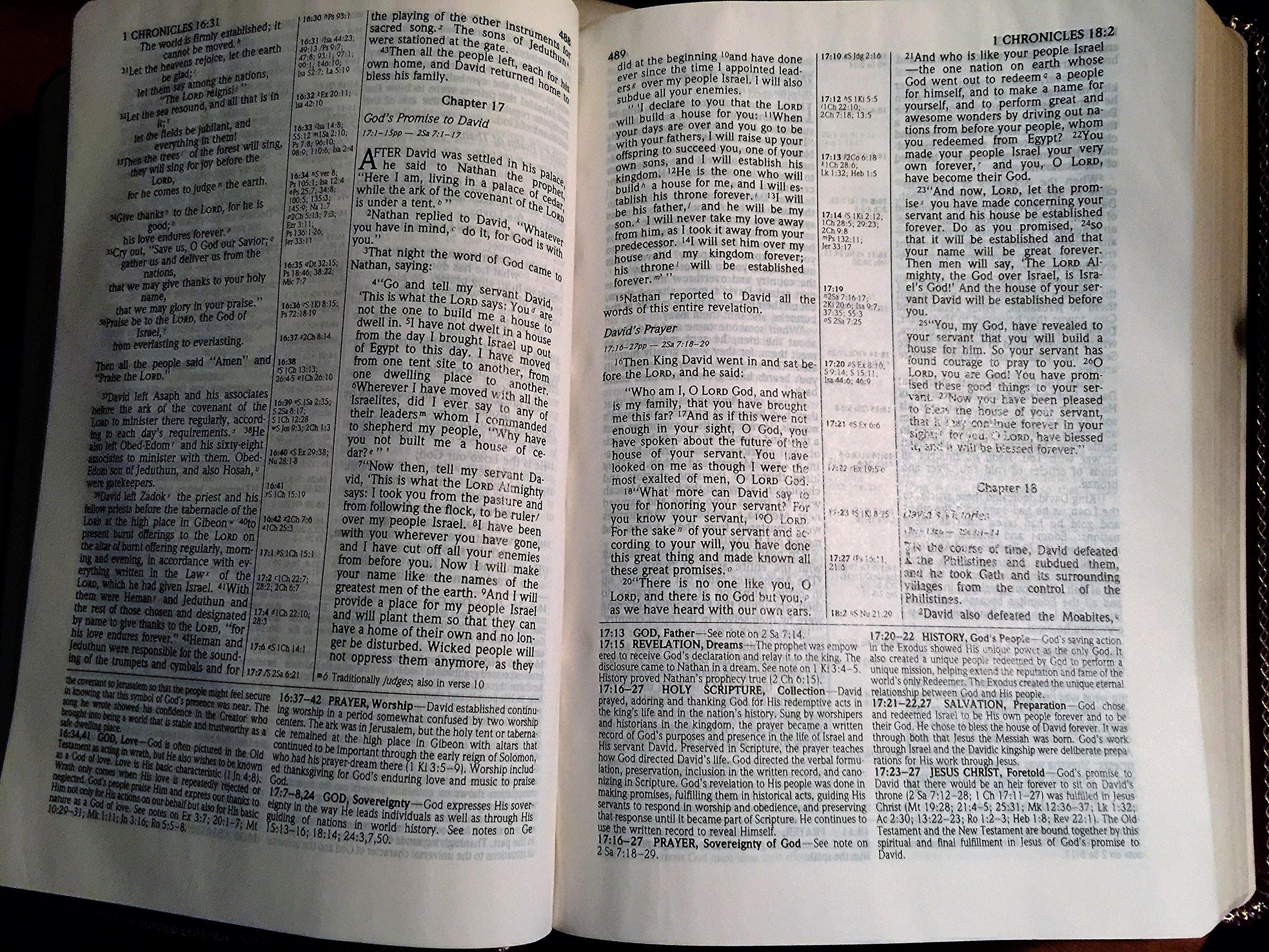 New International Version Disciple's Study Bible, Burgundy Bonded ...