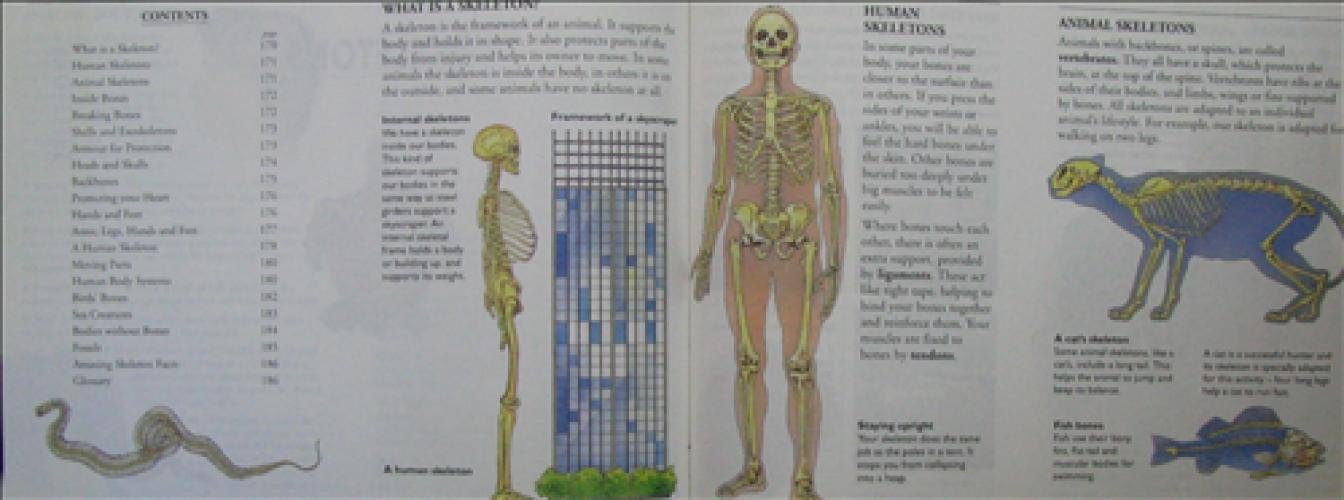 The Ladybird Discovery Encyclopedia of the Natural World by David ...