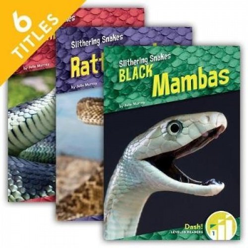 Slithering Snakes: Black Mambas / Boomslangs / Gaboon Vipers / King ...